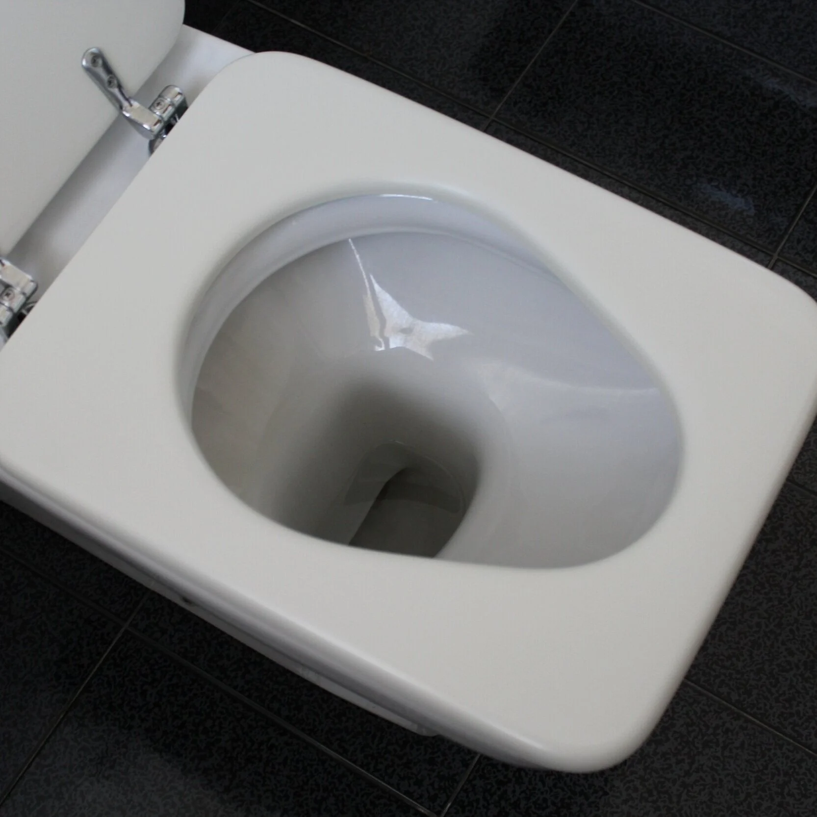 Terrible Toilet Troubles* — MNS Plumbing
