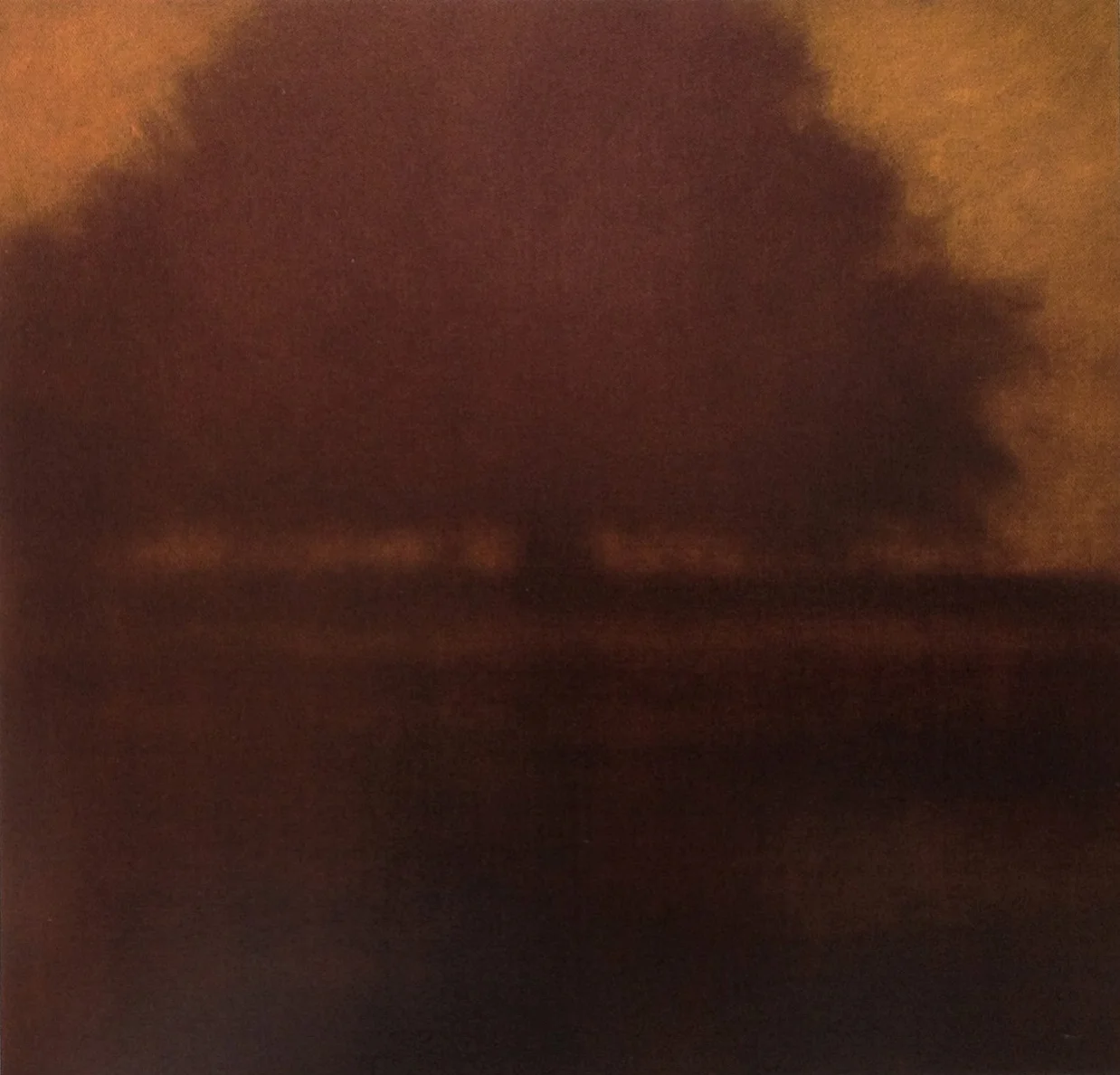 Collections — Kevin Fitzgerald