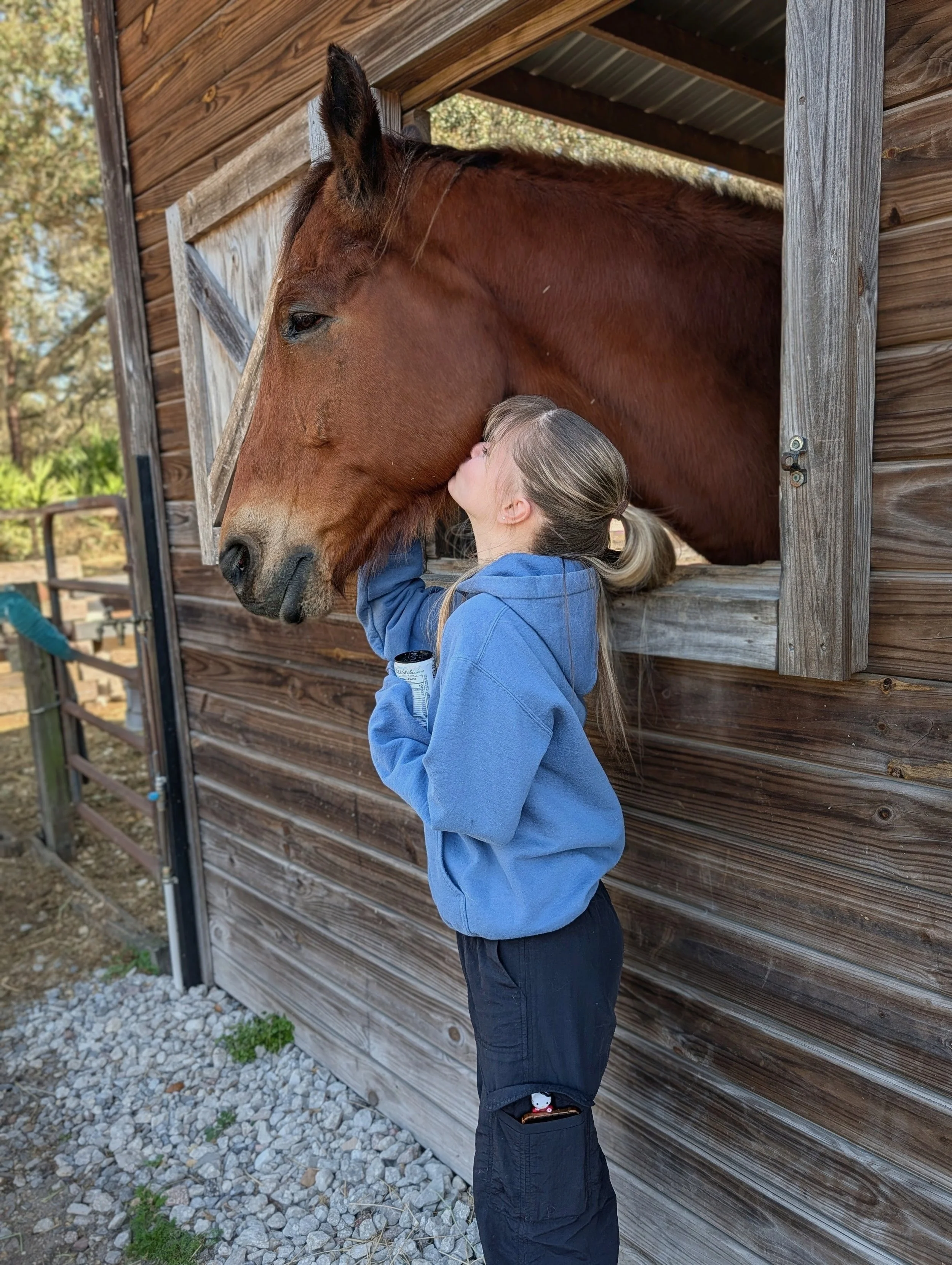 February Newsletter 🐴💙 — Cheyne Ranch
