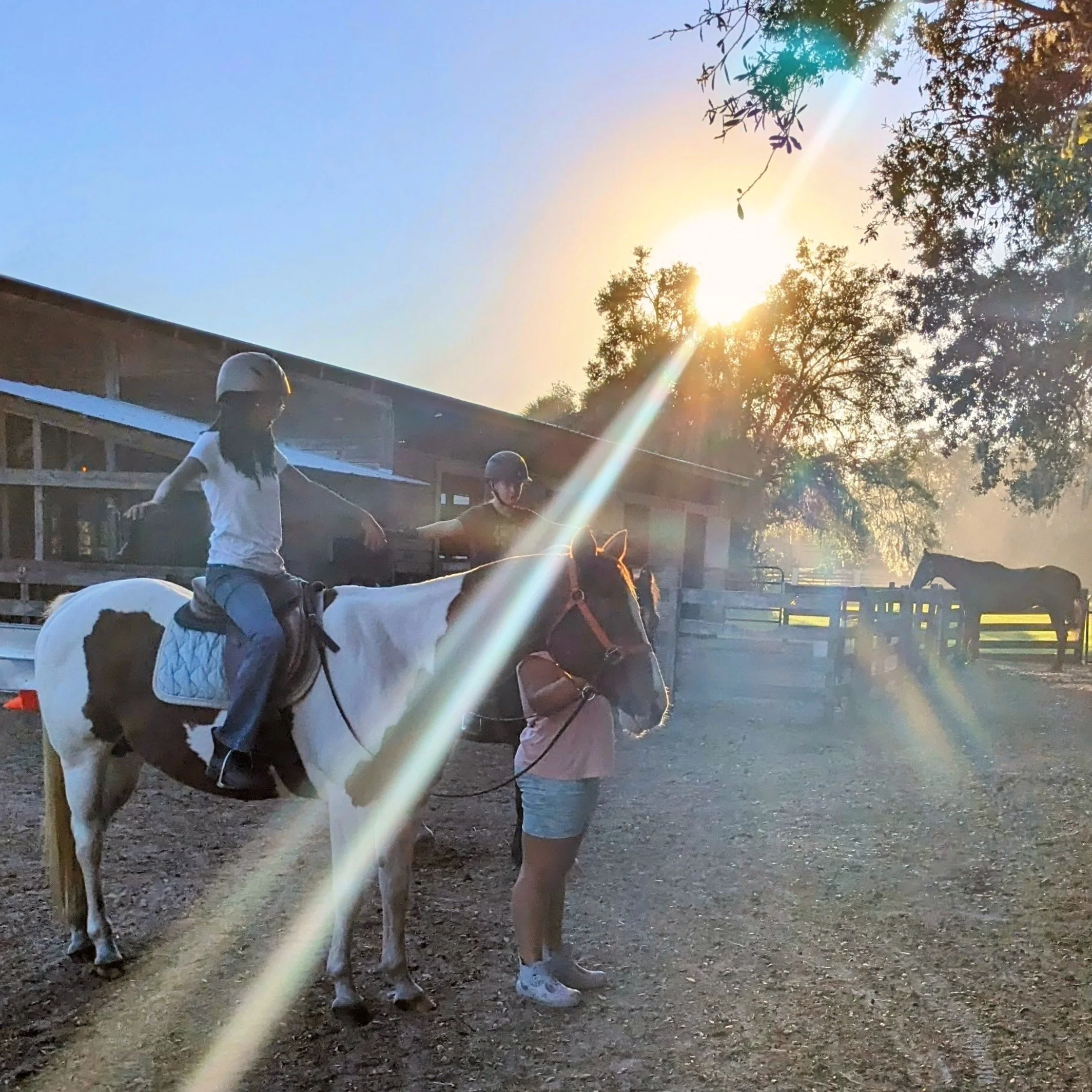 Riding Lessons — Cheyne Ranch