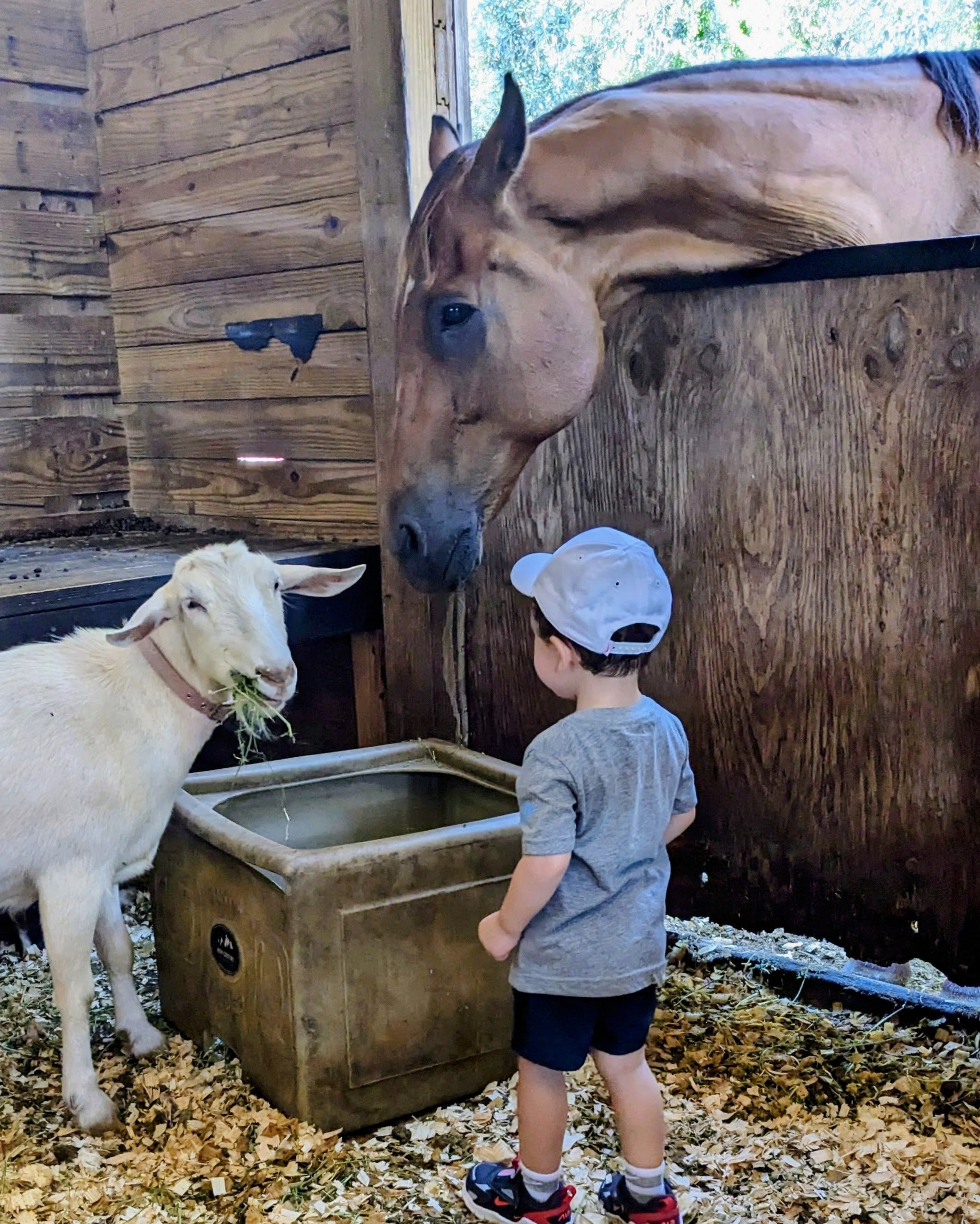 Gardiner / Family Empowerment Scholarship — Cheyne Ranch