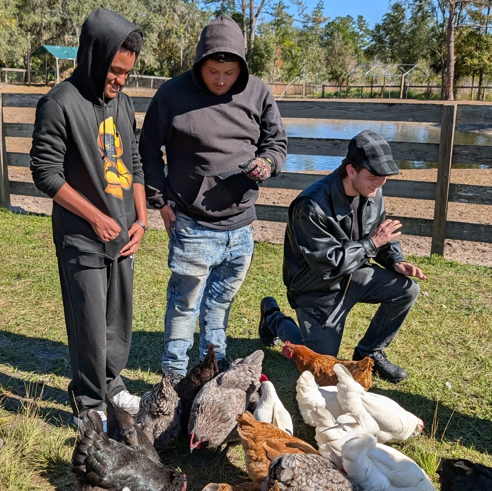 December mid-month NEWS!! — Cheyne Ranch