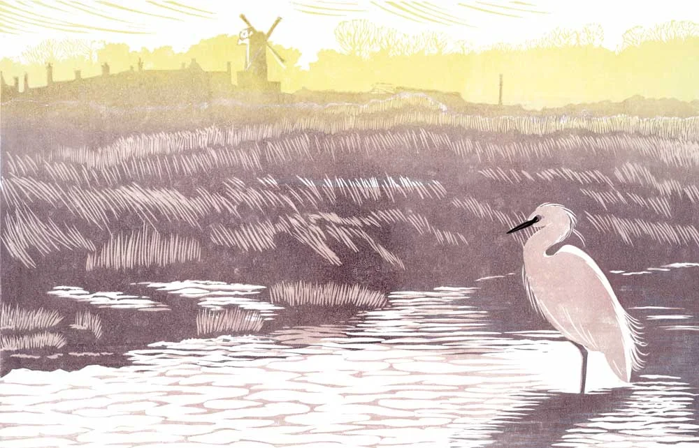 Little egret, Cley — Niki Bowers