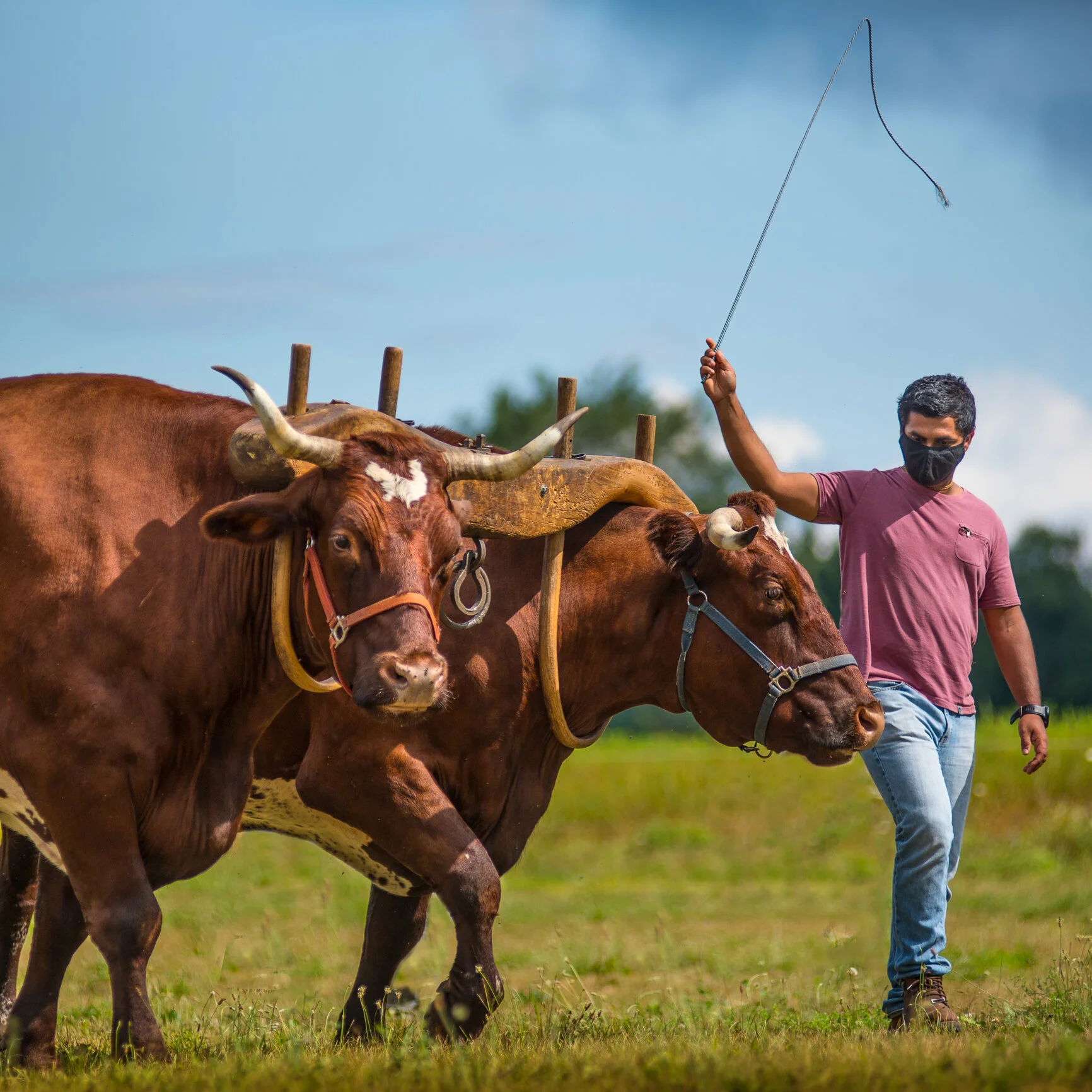 CLASSES (United States) — Tillers International