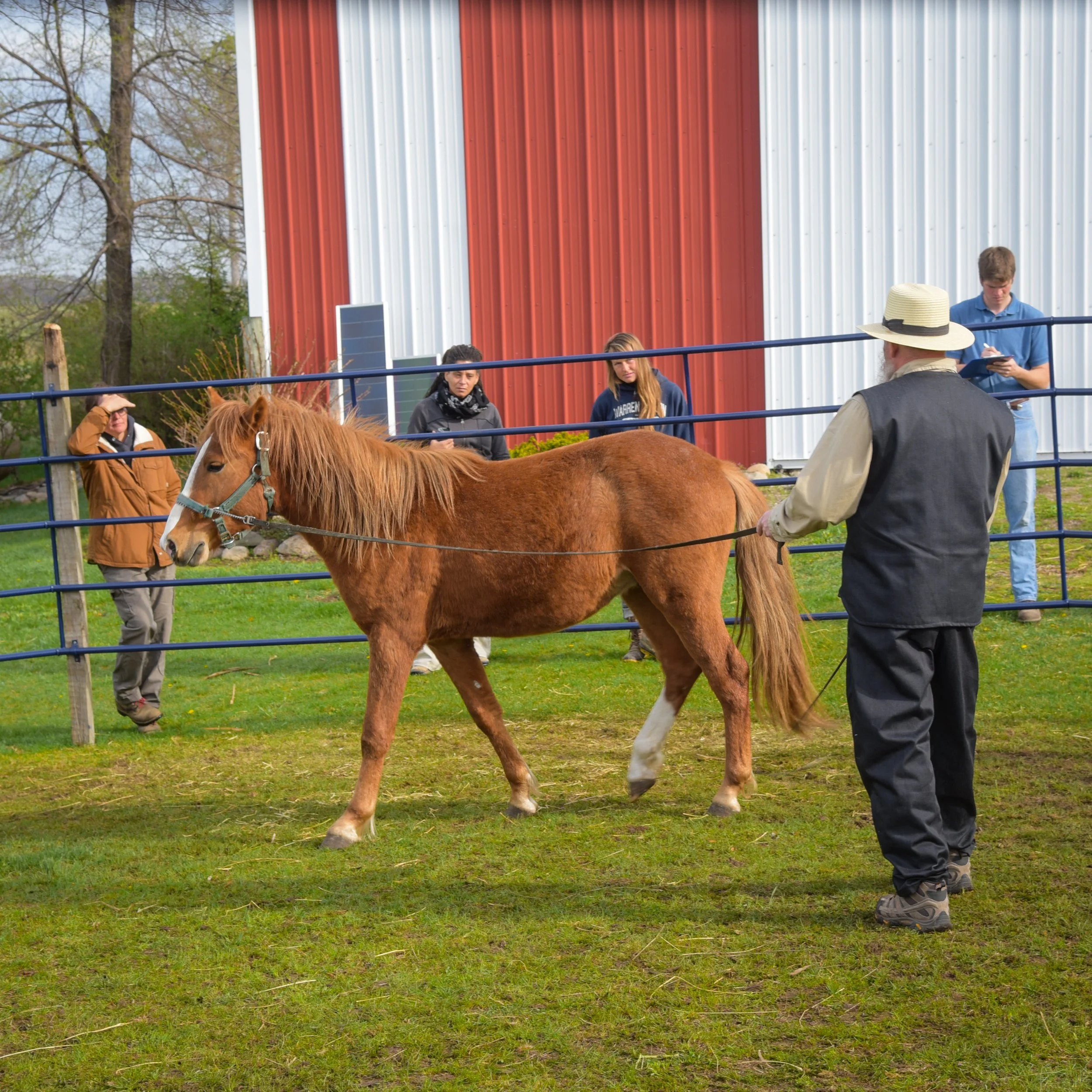 CLASSES (North America) — Tillers International