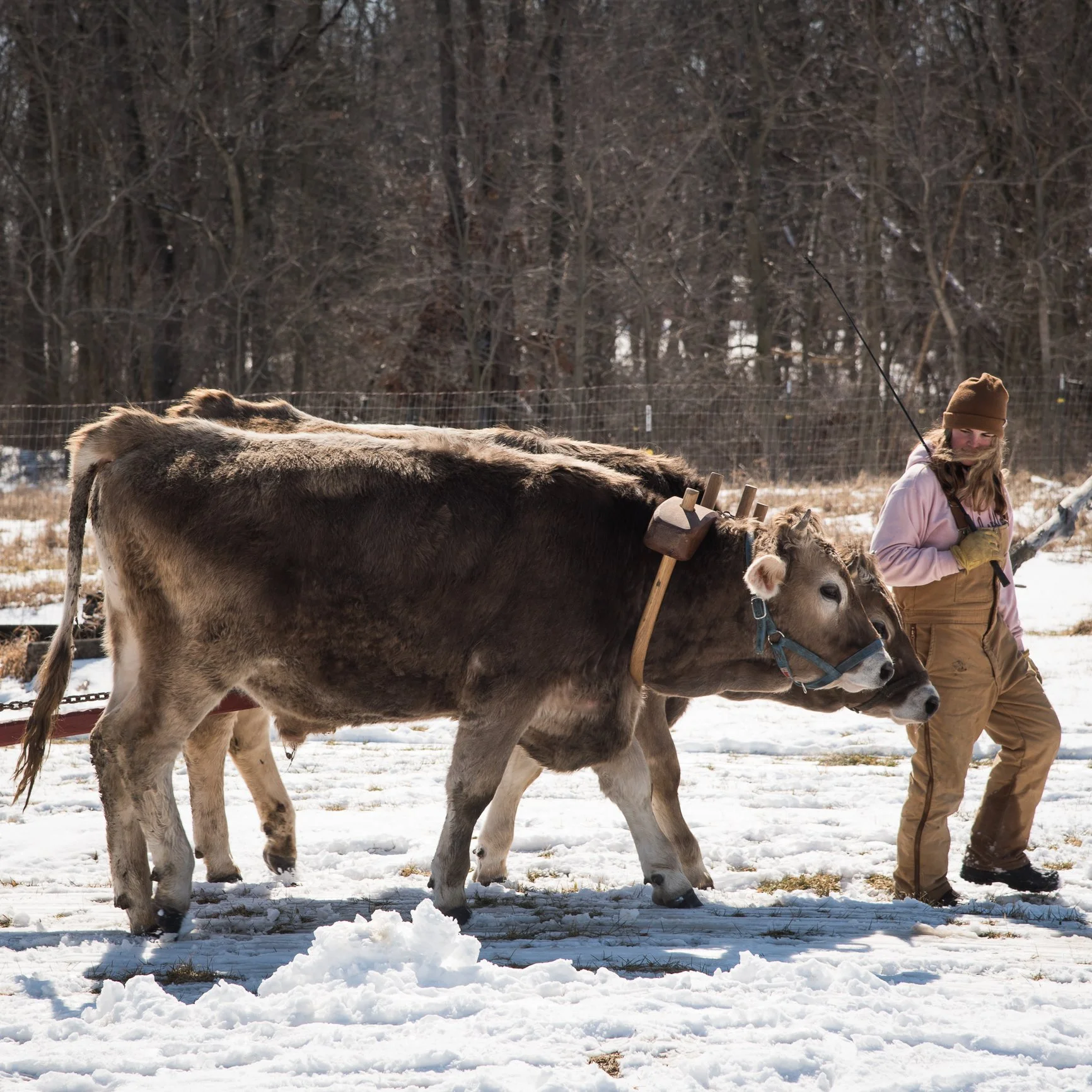 CLASSES (North America) — Tillers International