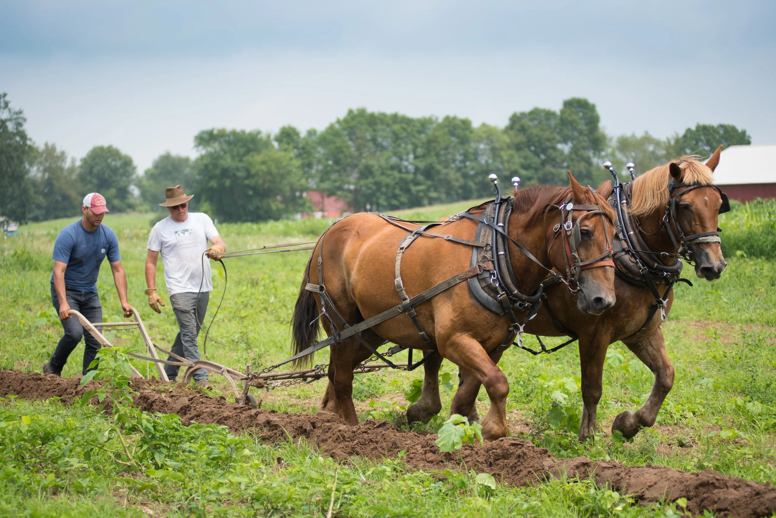 CLASSES (North America) — Tillers International