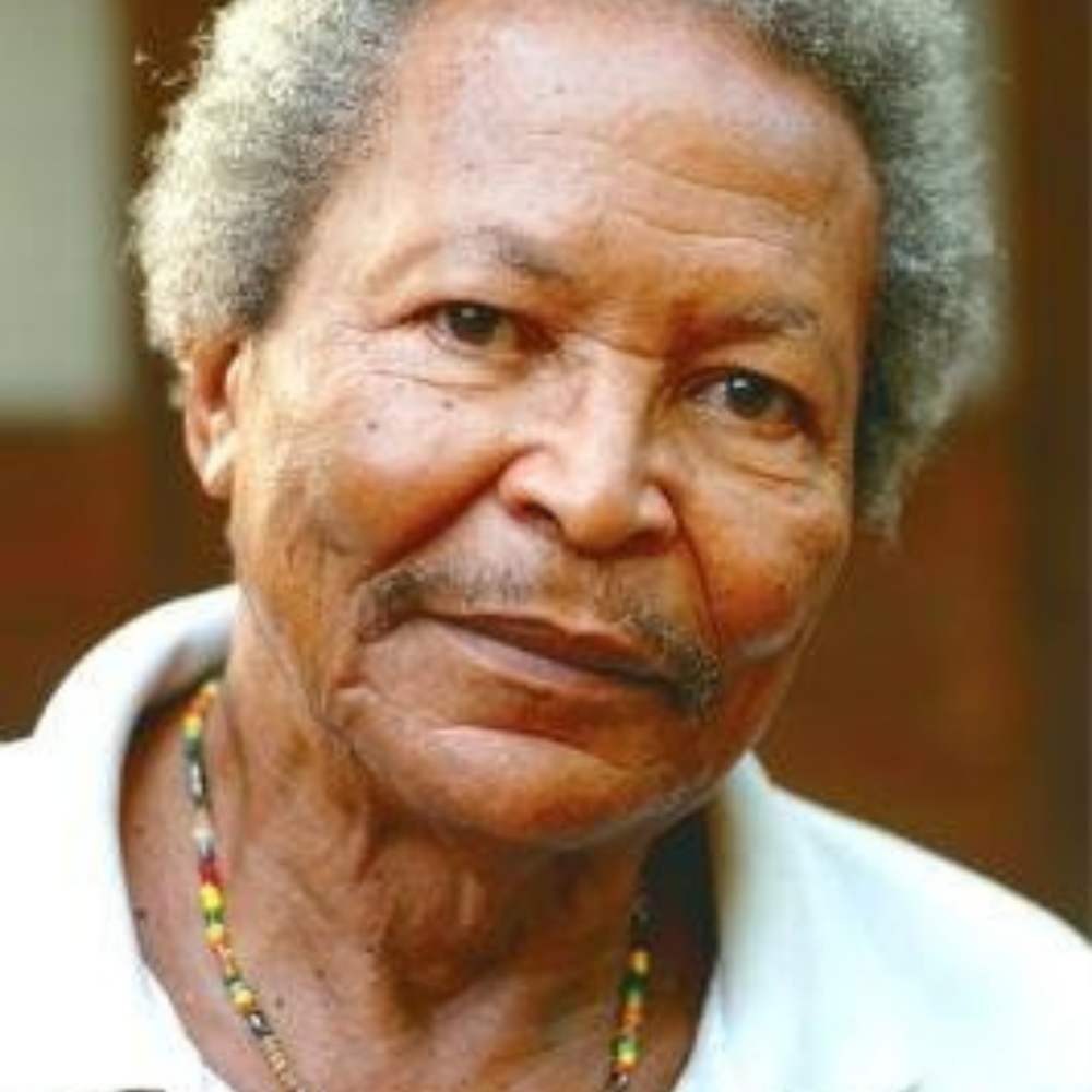 Caribbean Literary Giants: The Authors You Need to Read | I AM History