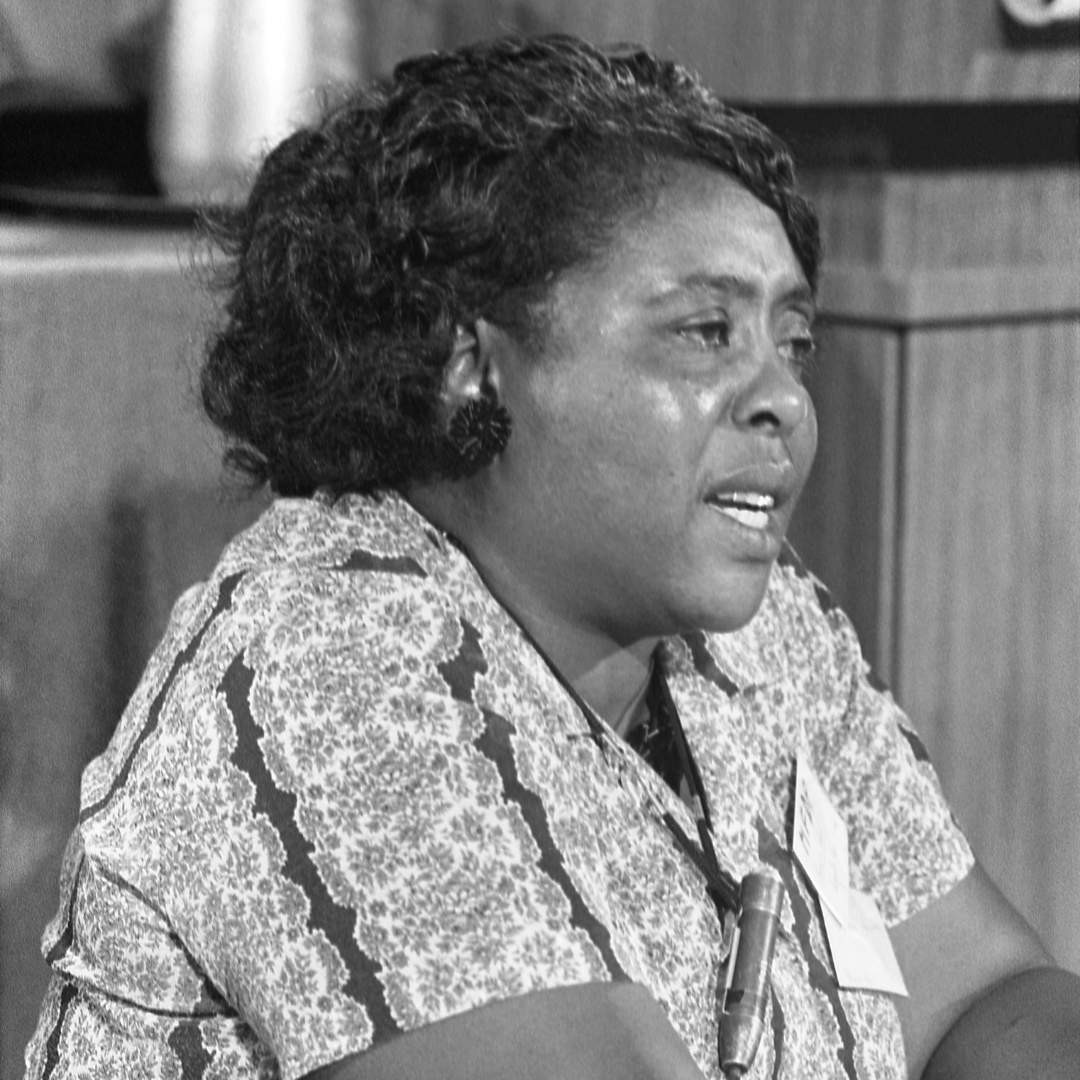 10 Civil Rights Leaders Who Changed America | I AM History