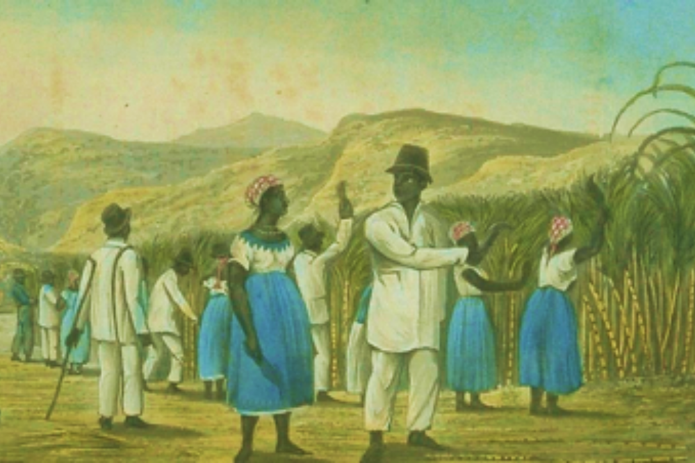 A Brief History Of The Maroons - Celebrating Black history & Black culture