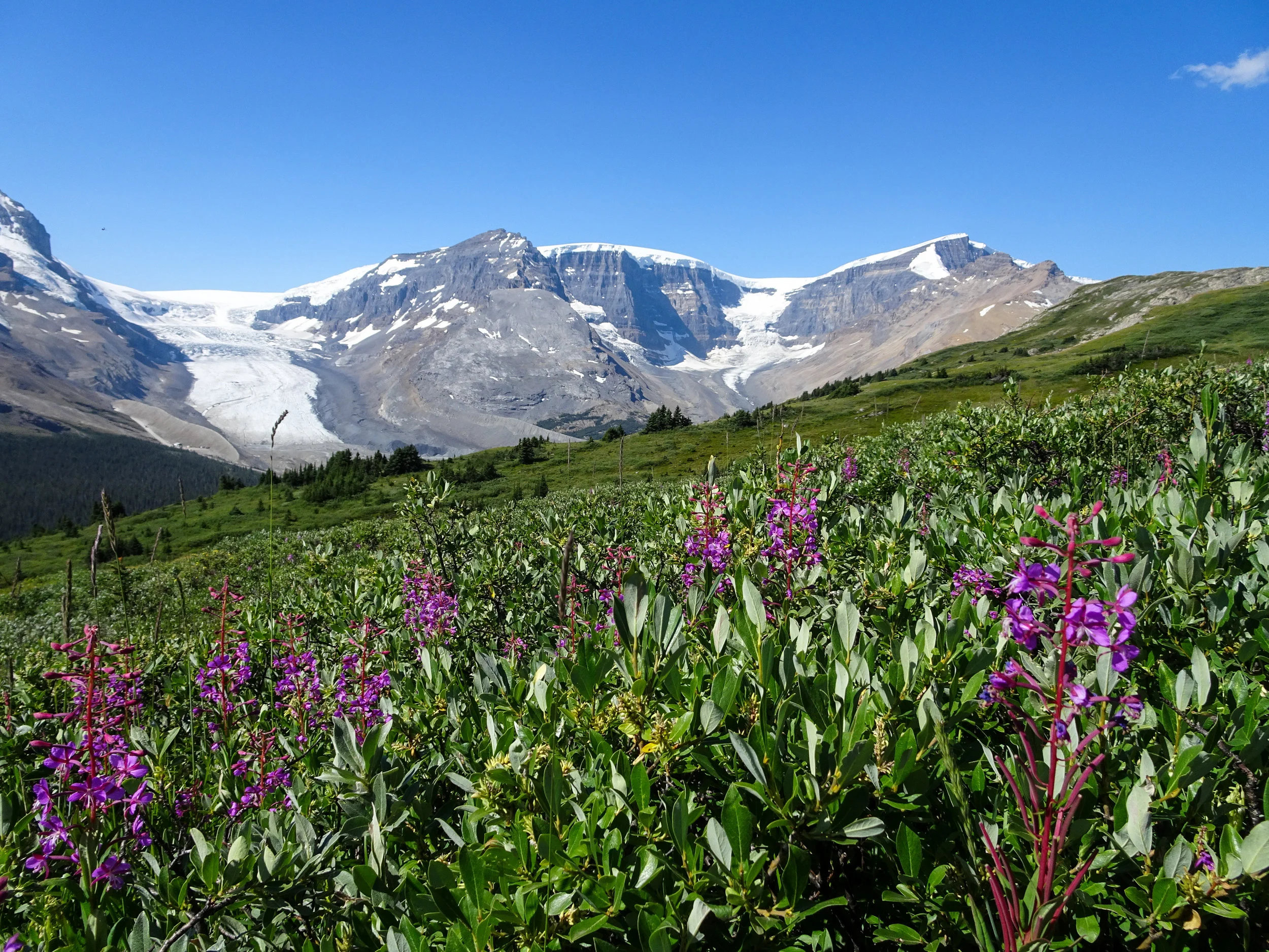 Trip Report: 3-Days in Jasper National Park — Adventures Kotli