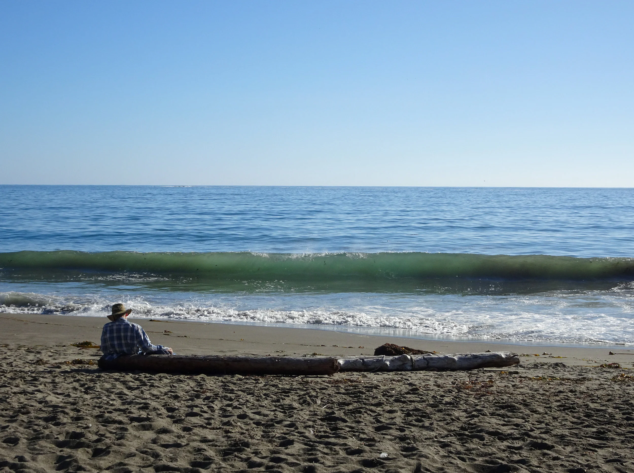 Pacific Coast Highway Points of Interest: Washington State — Adventures ...