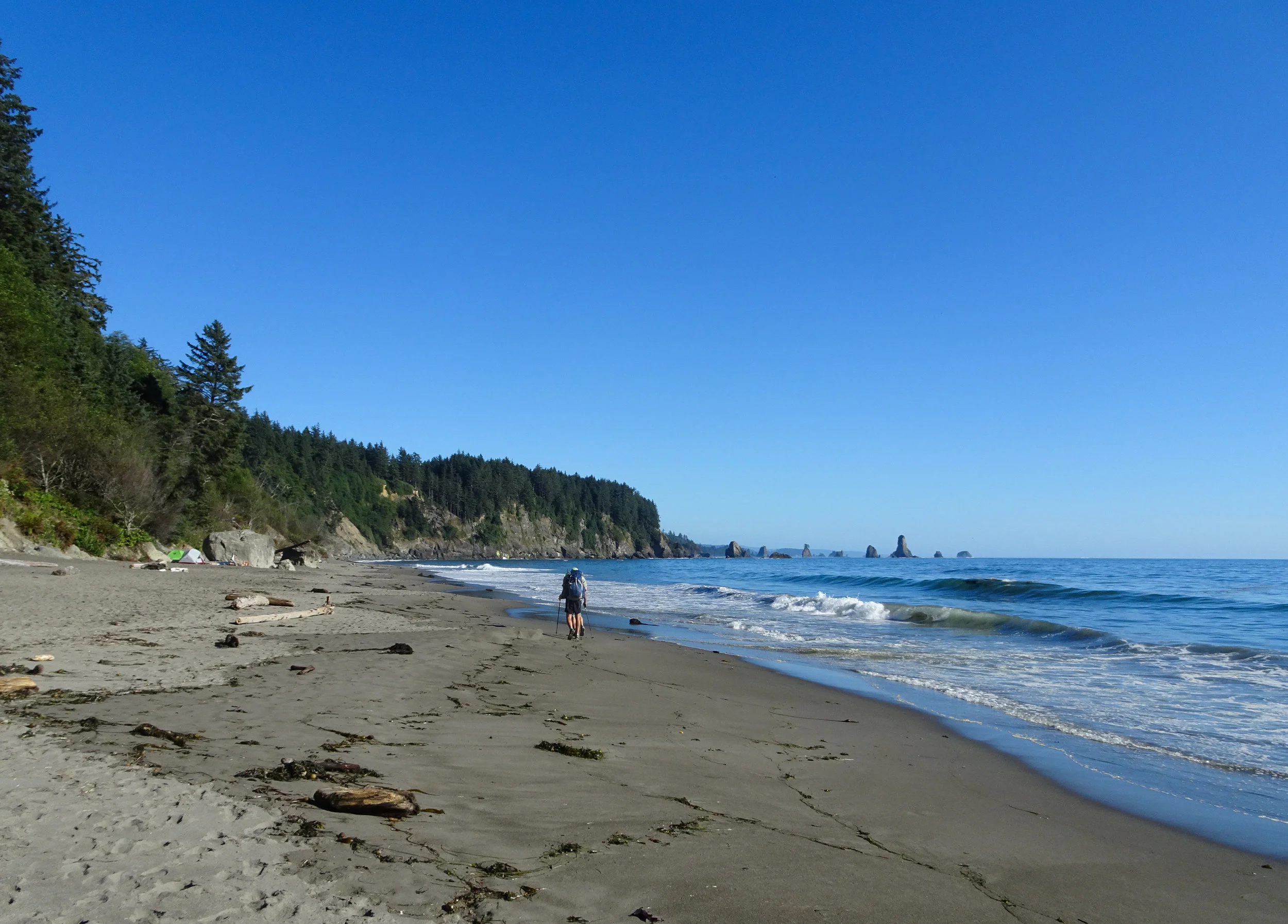 Pacific Coast Highway Points of Interest: Washington State — Adventures ...
