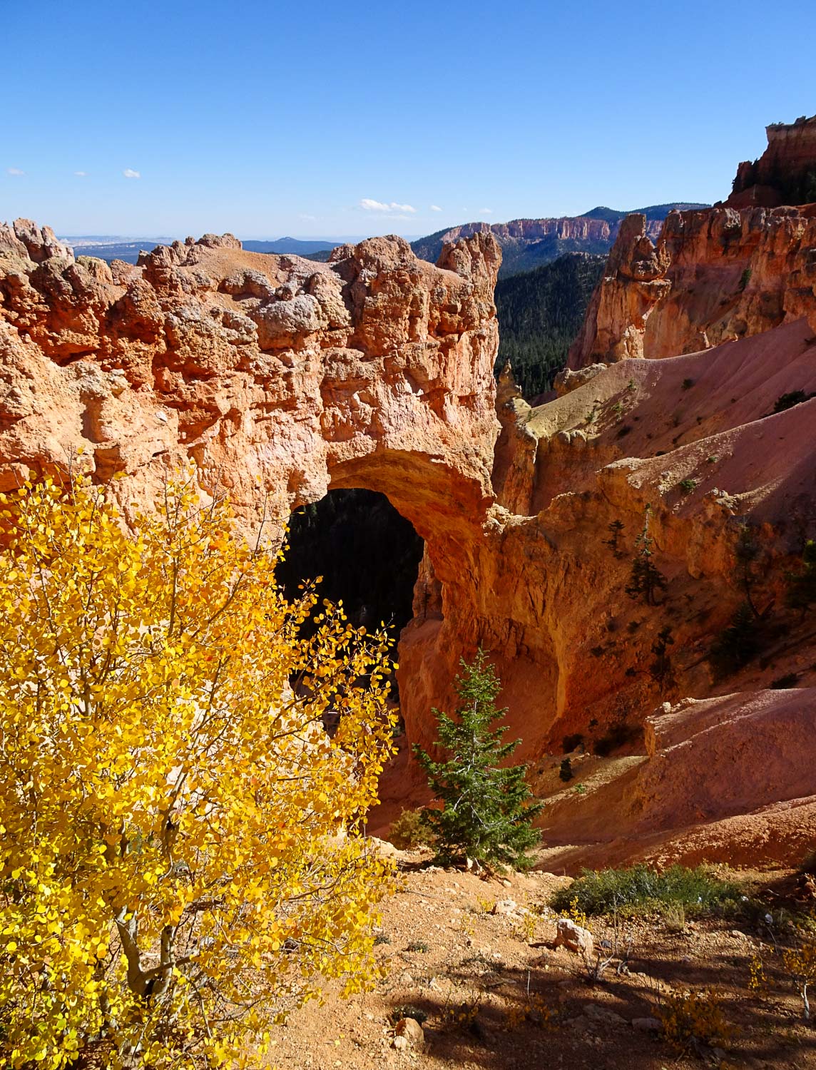 The Grand Staircase: Bryce Canyon — Adventures Kotli