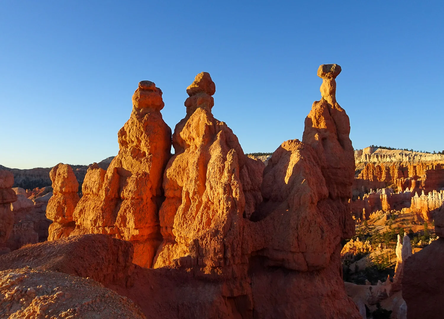 The Grand Staircase: Bryce Canyon — Adventures Kotli