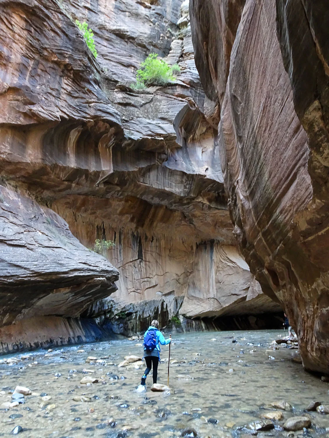 The Grand Staircase: Zion National Park — Adventures Kotli