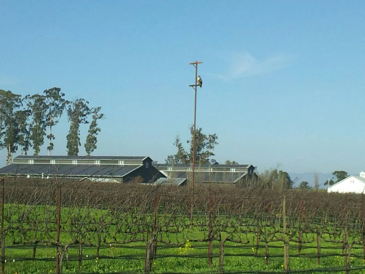 Products Available — Aloft Napa Valley