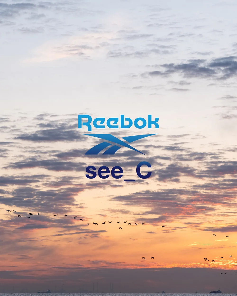 Collaboration | eye_C x SEE SEE x Reebok x URBAN RESEARCH — eye_C