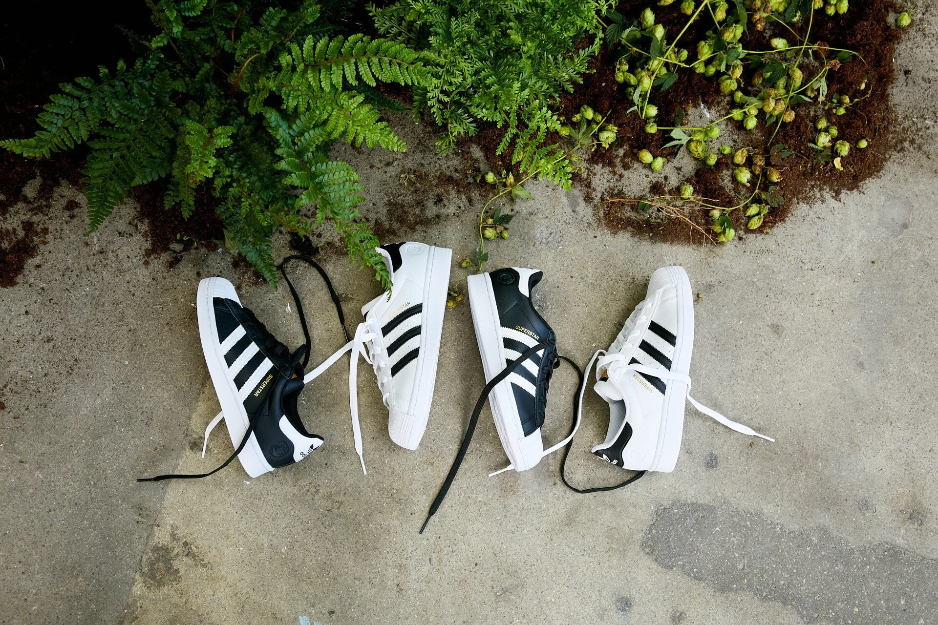 Rezet Highlights adidas Originals' 'Vegan' Superstar in Nature-Themed ...