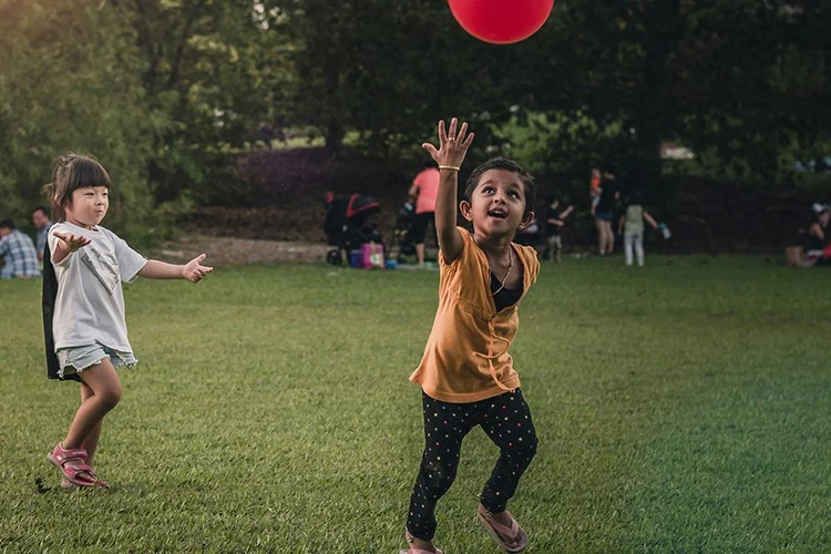 Harvard Handouts for Brain-building Play — Keeping In Touch