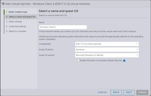 Creating a Windows 11 Virtual Machine in ESXi — Nile Barmore