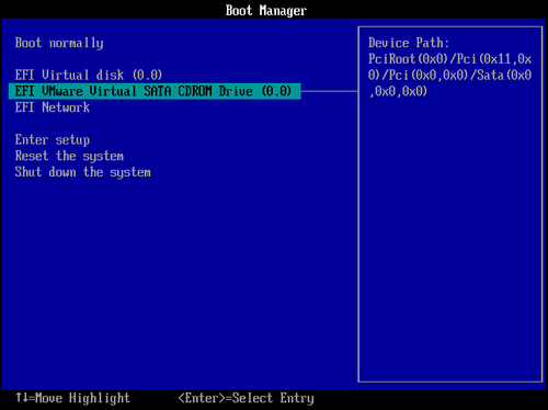 Creating a Windows 11 Virtual Machine in ESXi — Nile Barmore