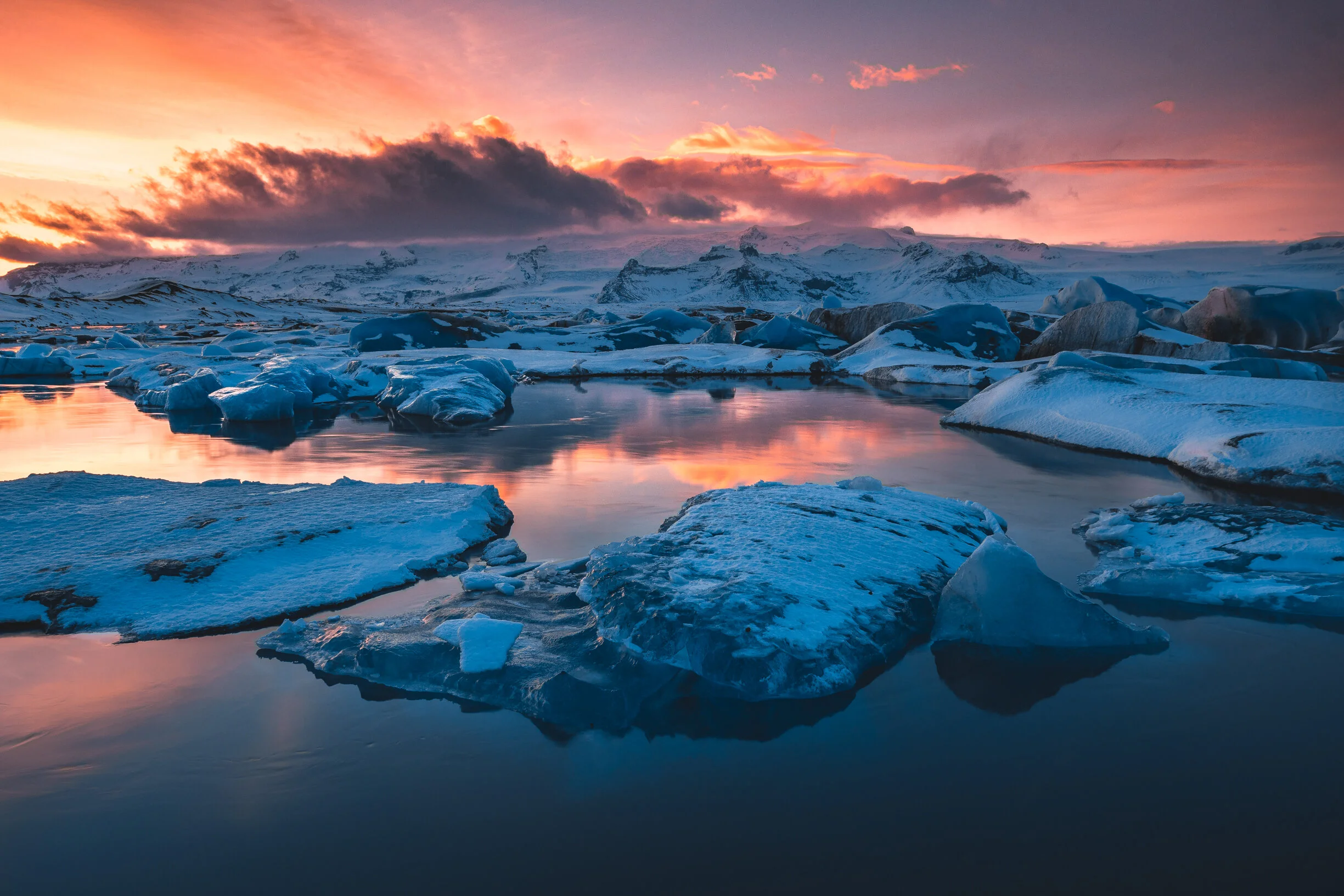 All about my recent photography adventures. — Dedication Photography