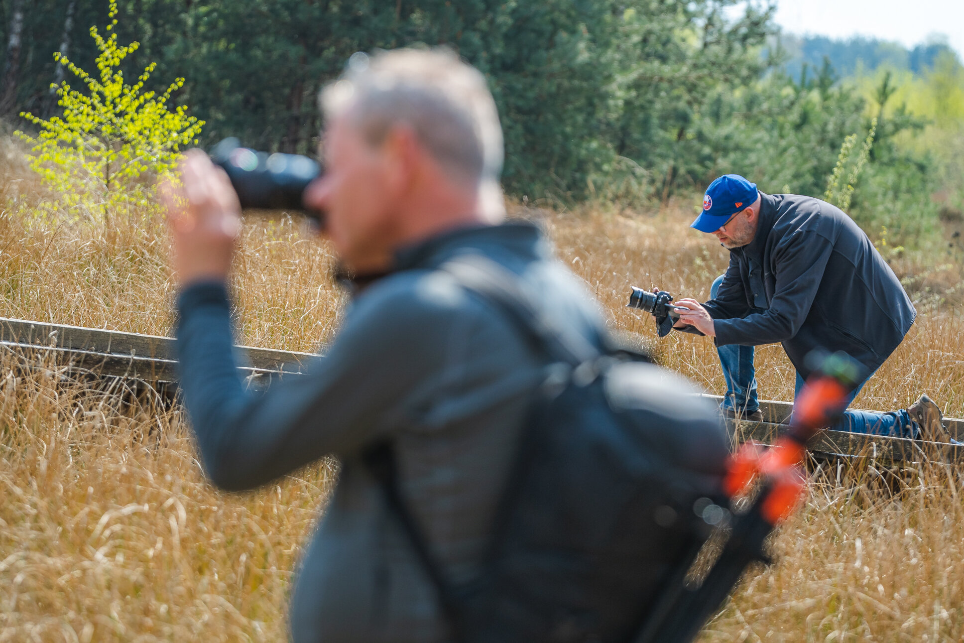 Workshop Natuurfotografie — Dedication Photography