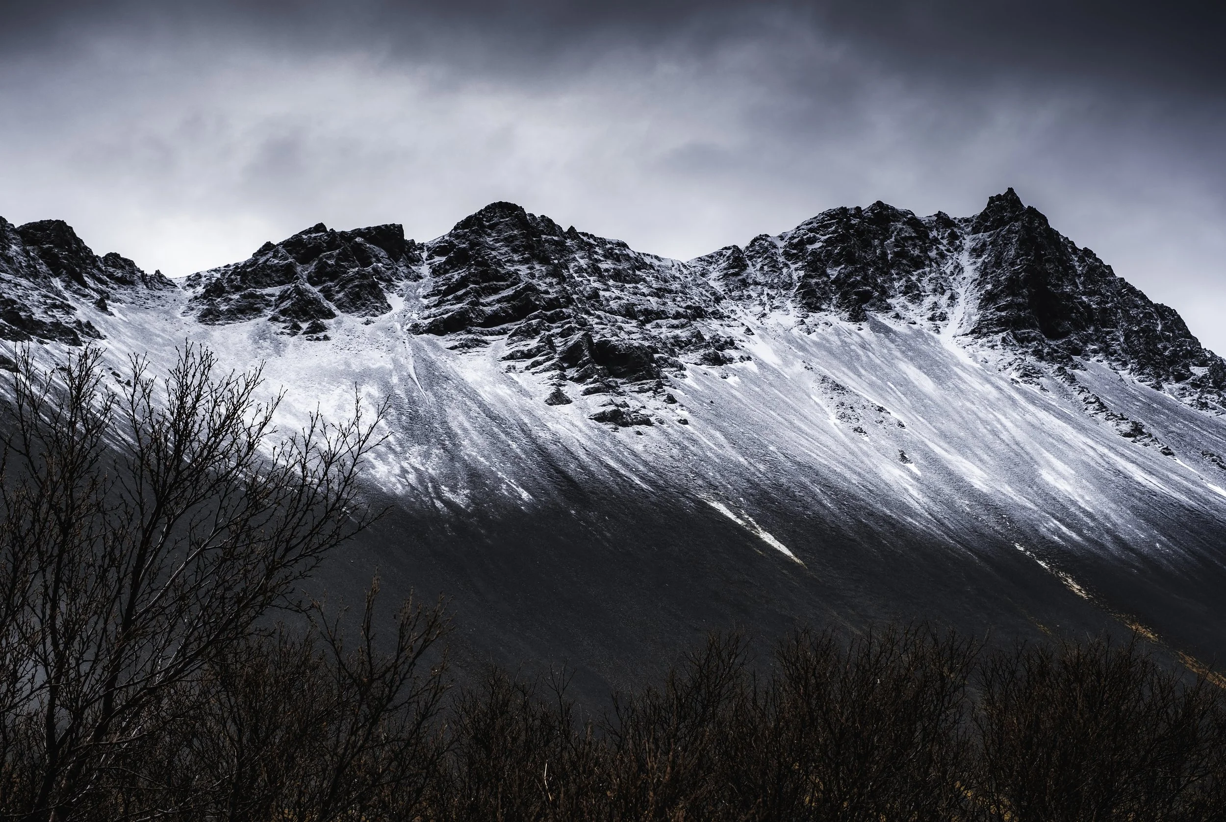 My Products — Dedication Photography