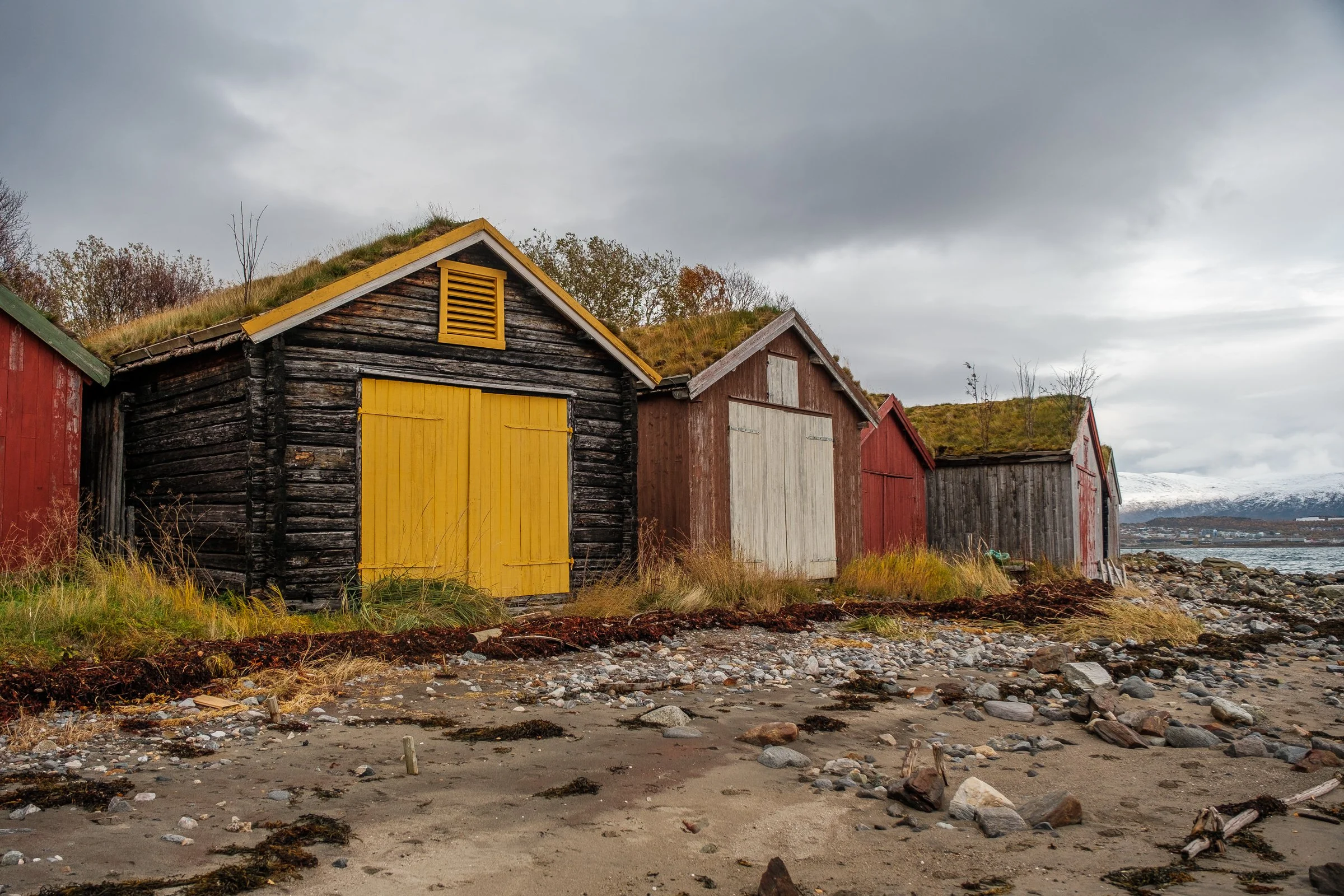 All about my recent photography adventures. — Dedication Photography