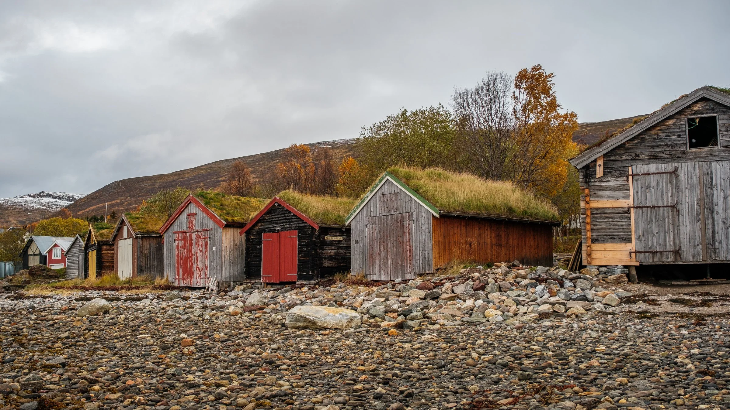 All about my recent photography adventures. — Dedication Photography