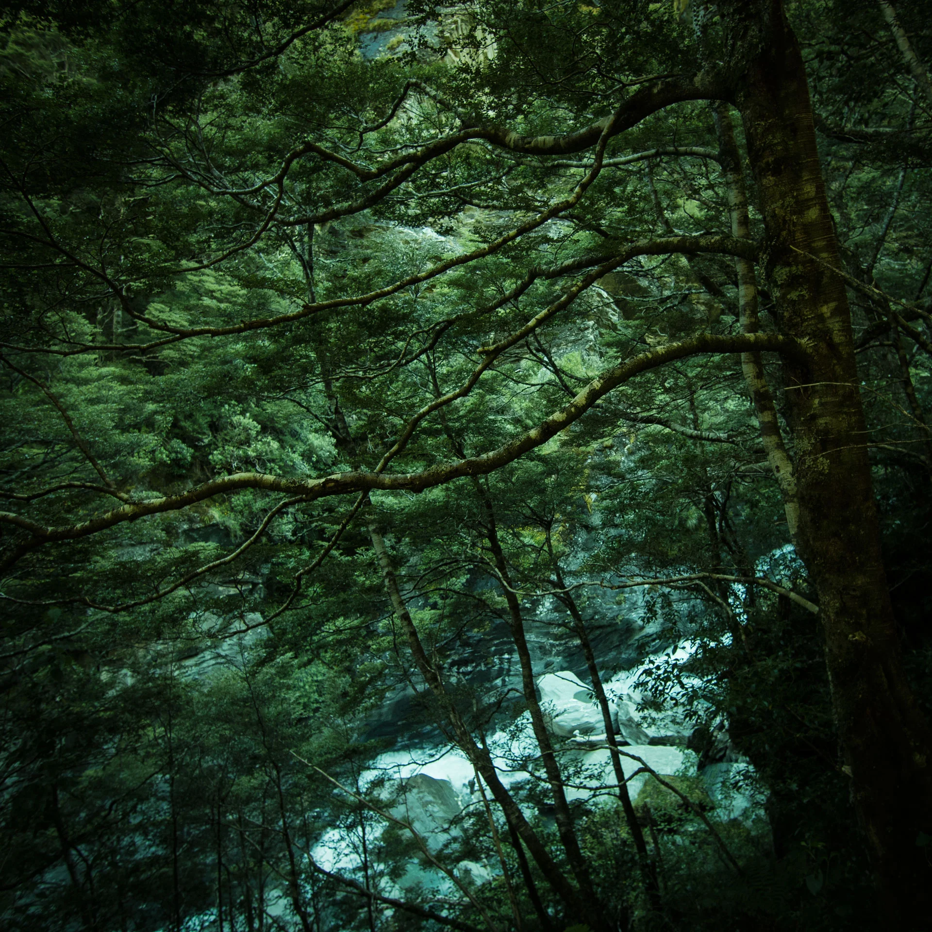 Stills — fernando hart