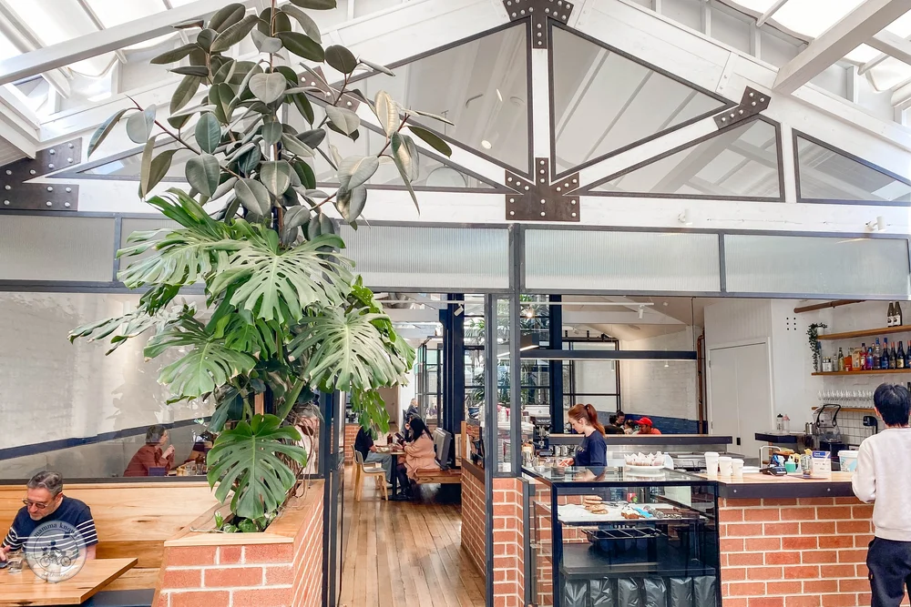 levi cafe, murrumbeena — mamma knows south