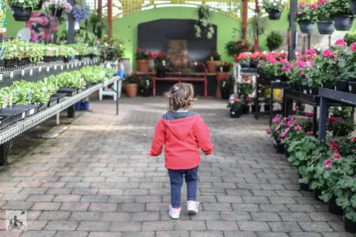 garden world, braeside — mamma knows south