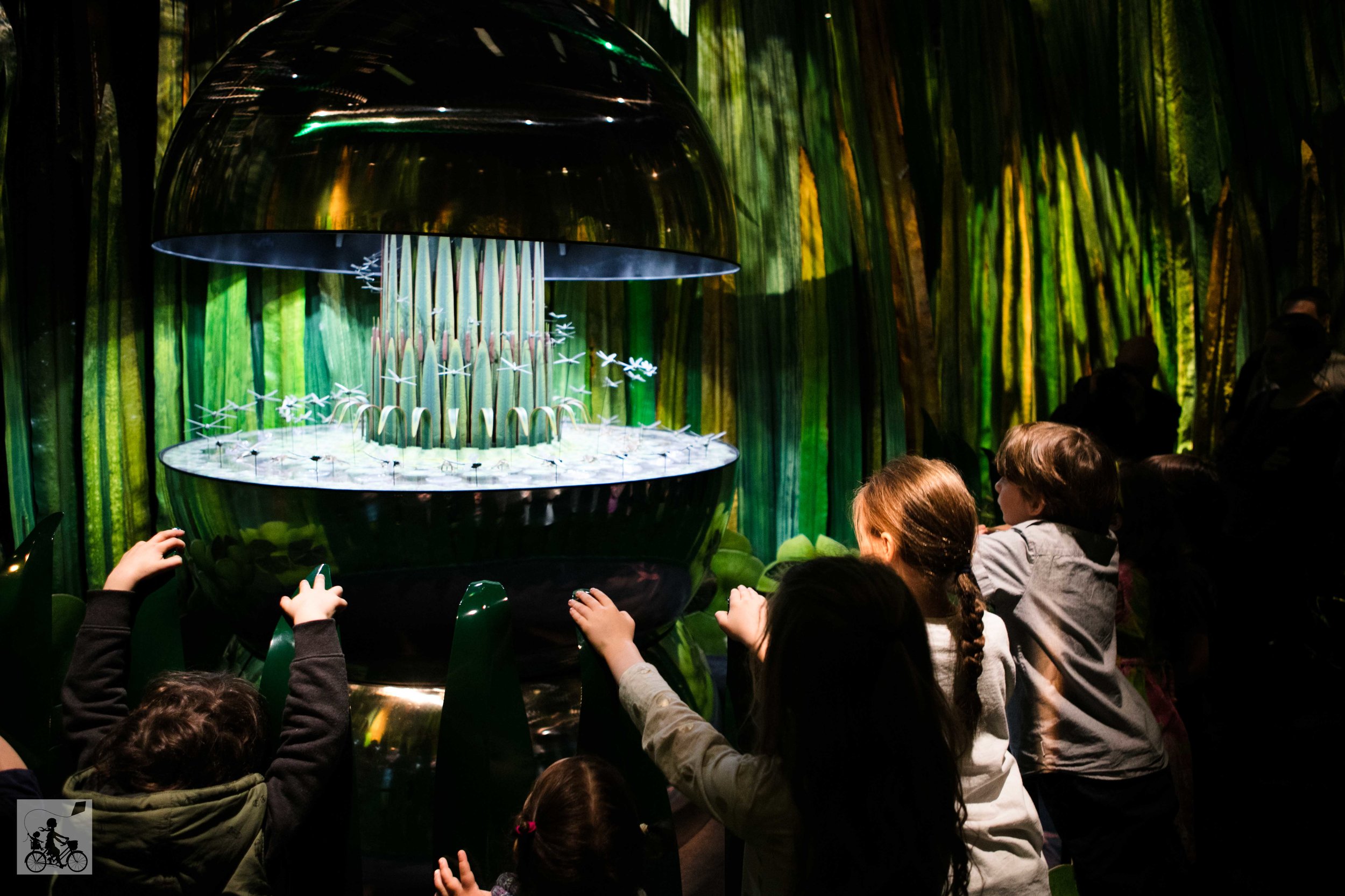 bug lab - little bugs: super powers @ melbourne museum, carlton — mamma ...