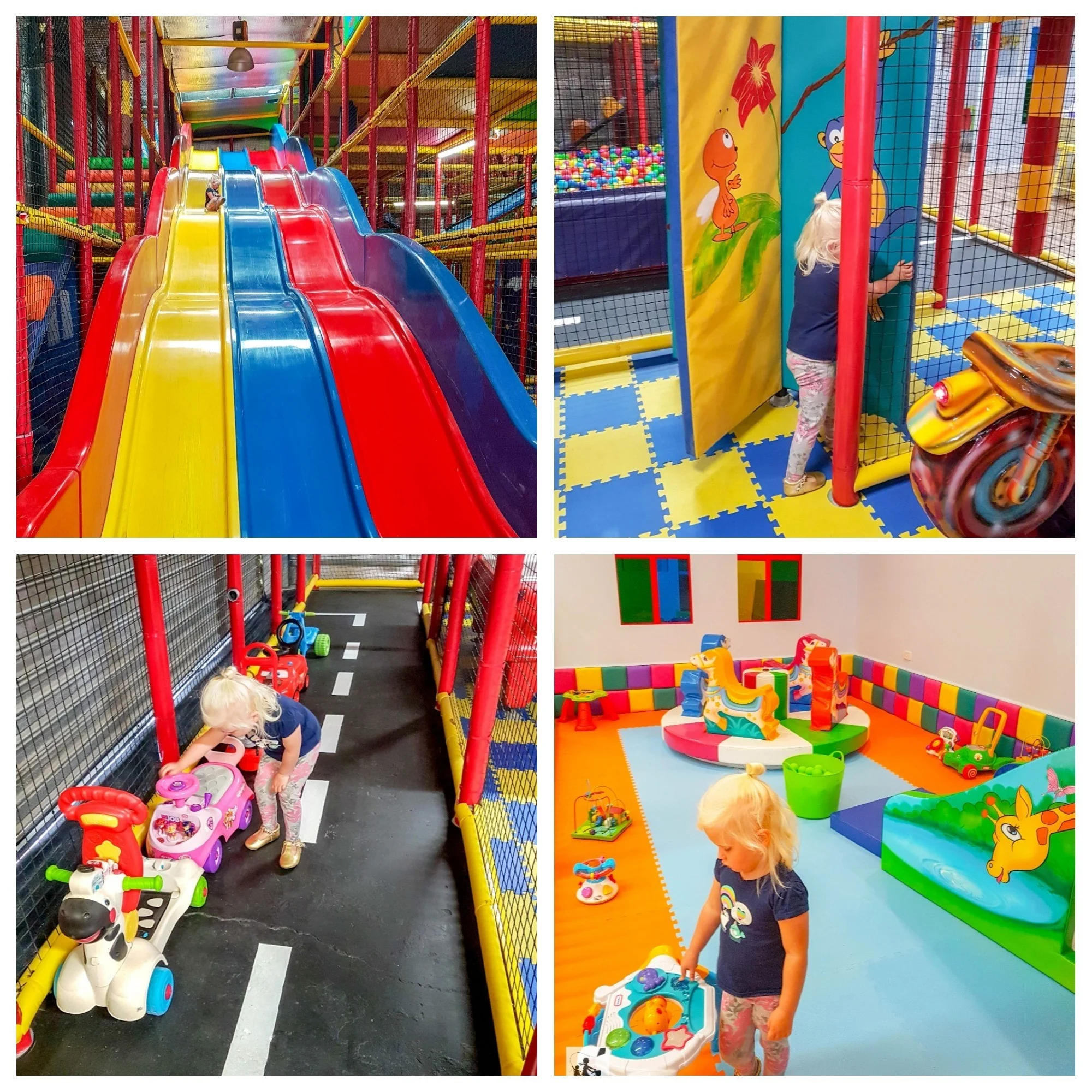 kidz shed playcentre, hastings — mamma knows south