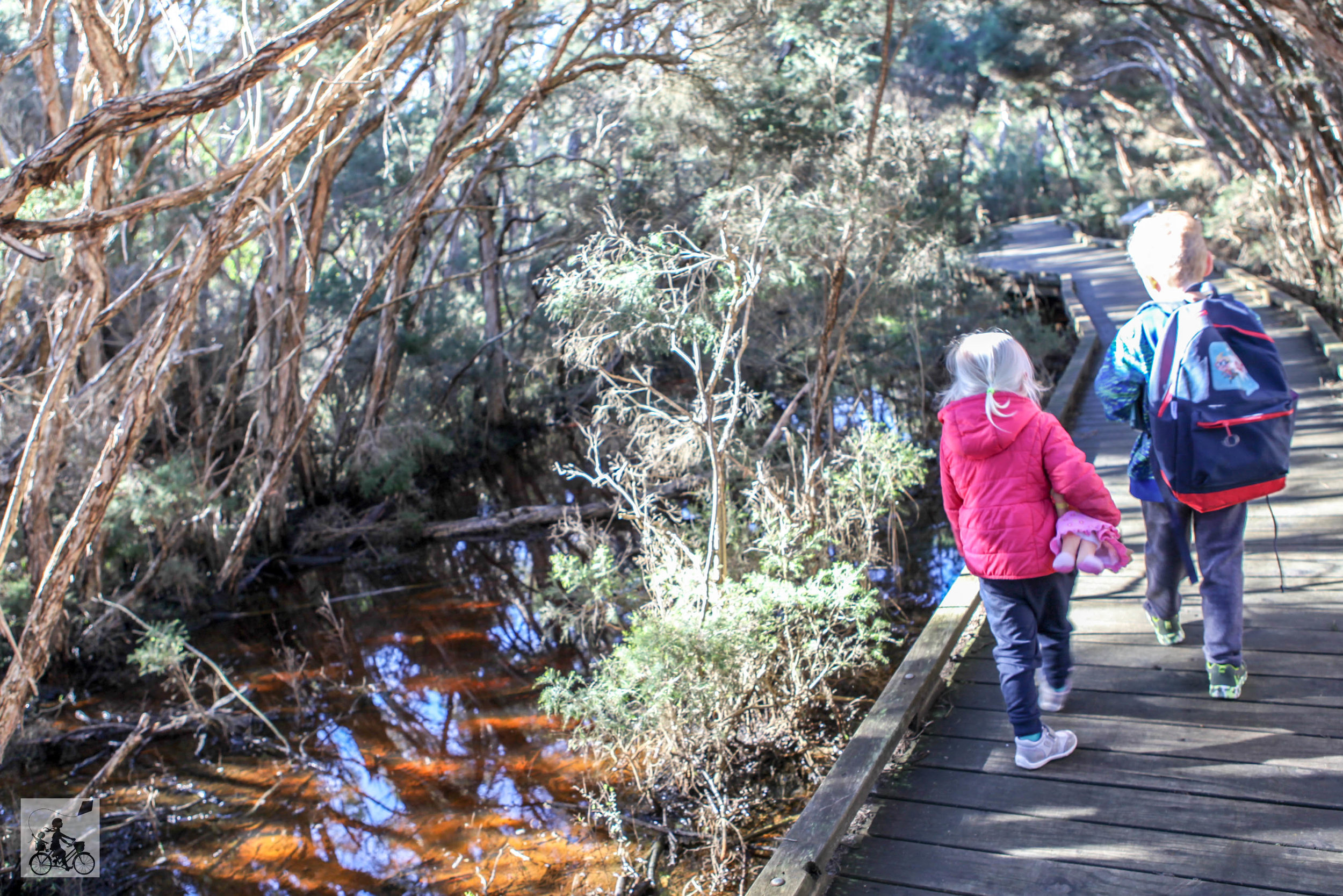 balcombe estuary reserves, mt martha — mamma knows south
