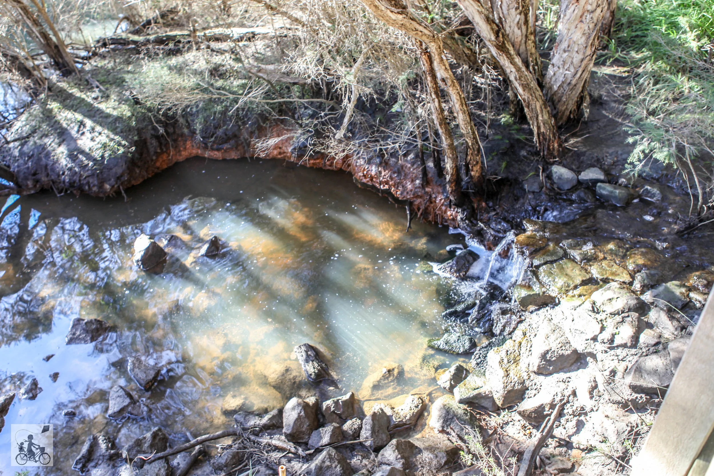 balcombe estuary reserves, mt martha — mamma knows south