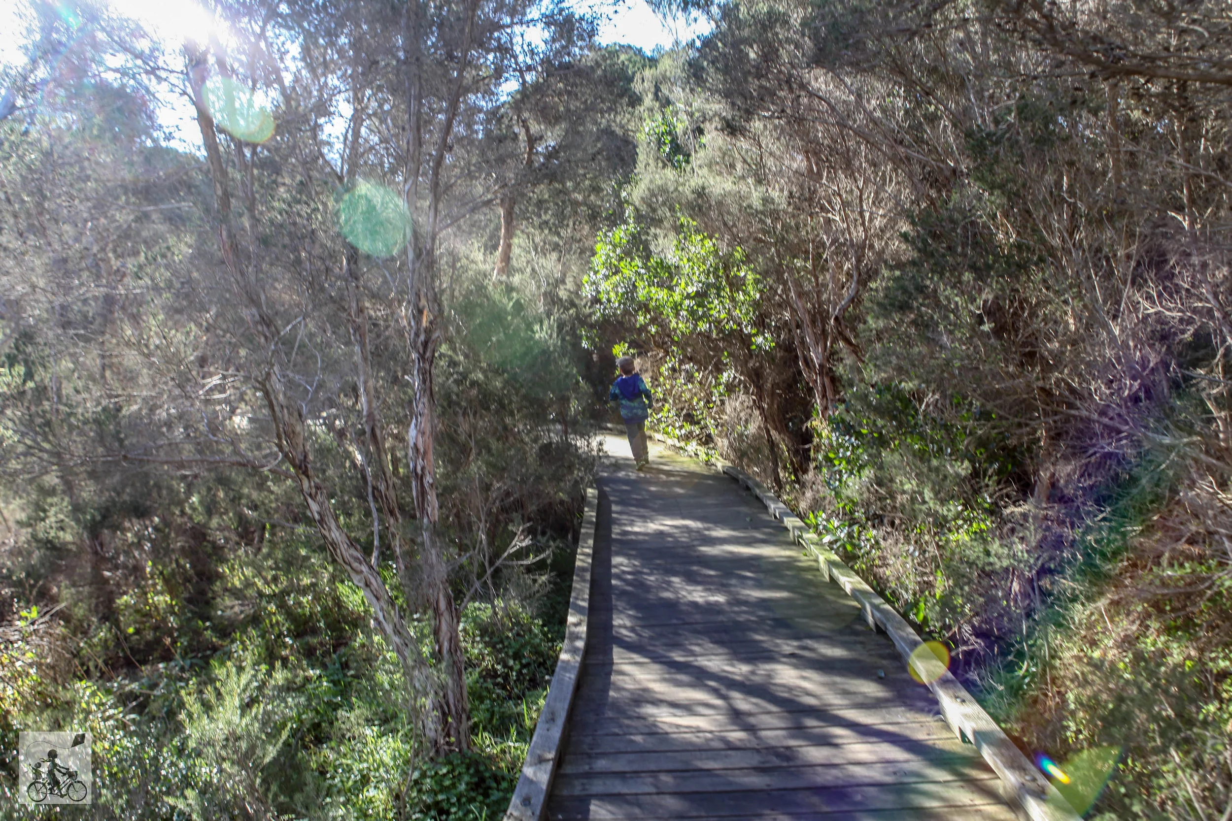 balcombe estuary reserves, mt martha — mamma knows south