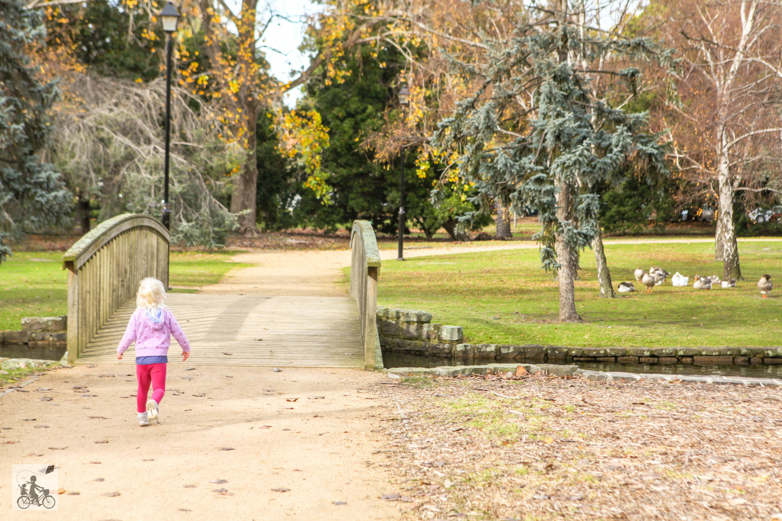 caulfield park, caulfield north — mamma knows south