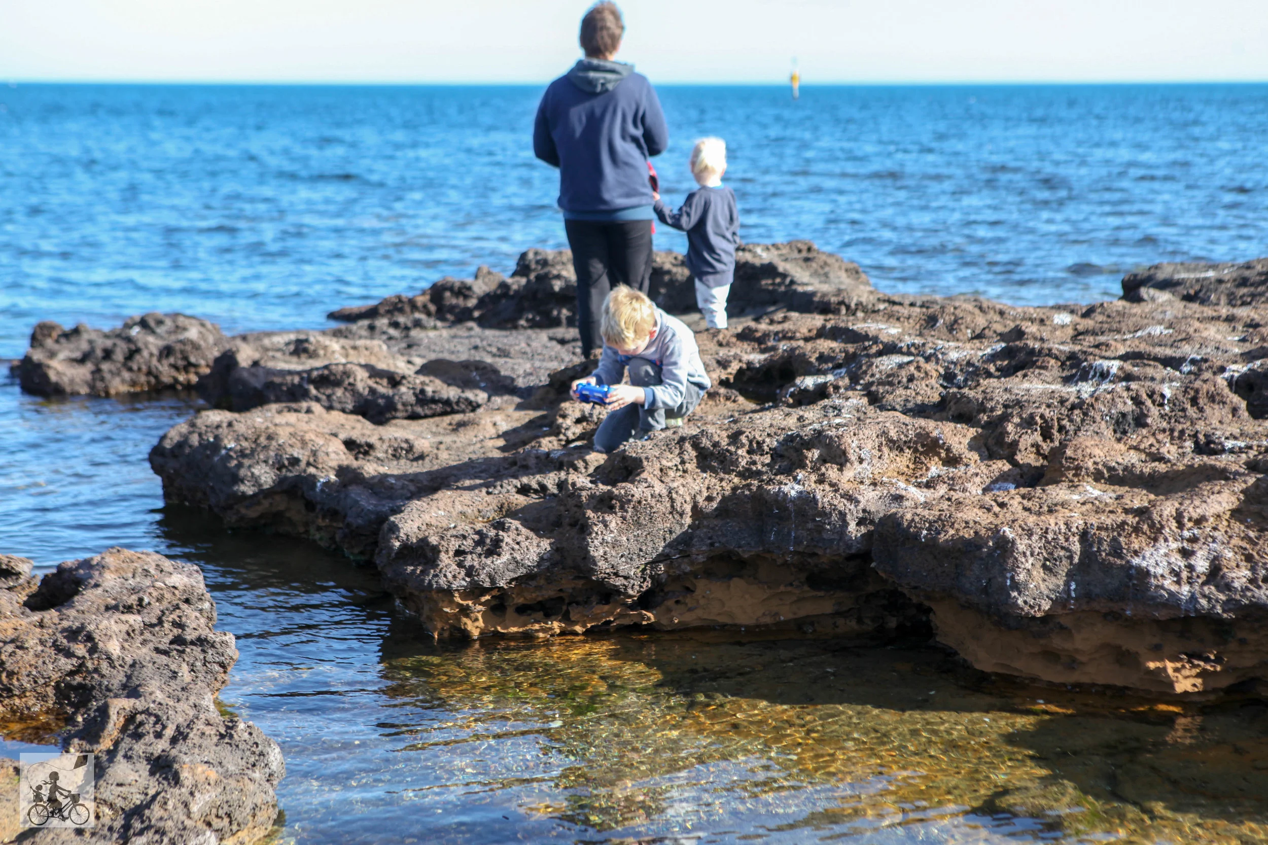 rickett's point marine sanctuary, beaumaris — mamma knows south