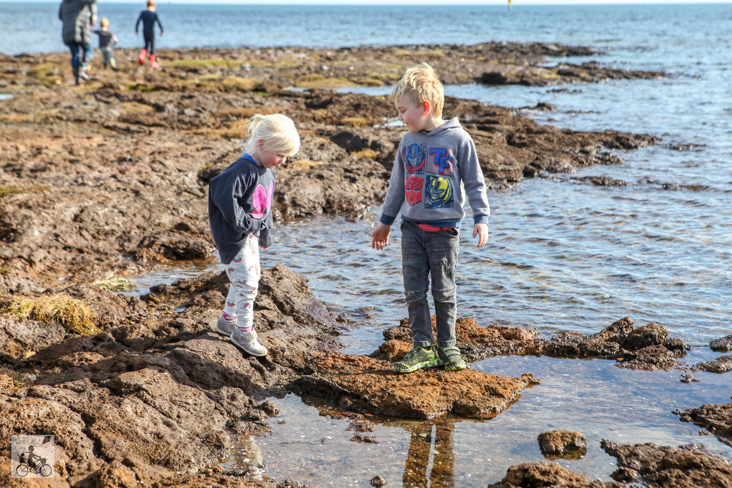 rickett's point marine sanctuary, beaumaris — mamma knows south