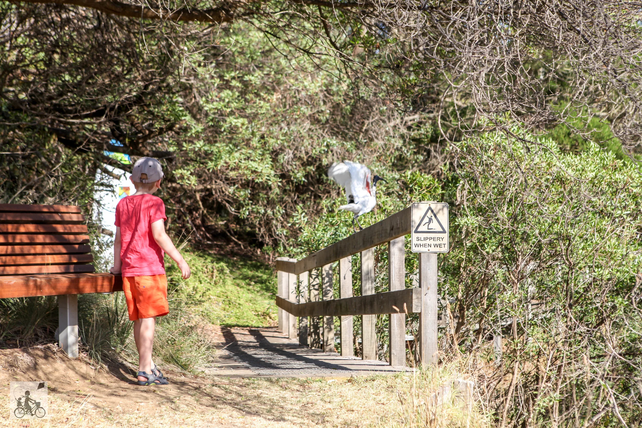 point leo foreshore reserve, point leo — mamma knows south
