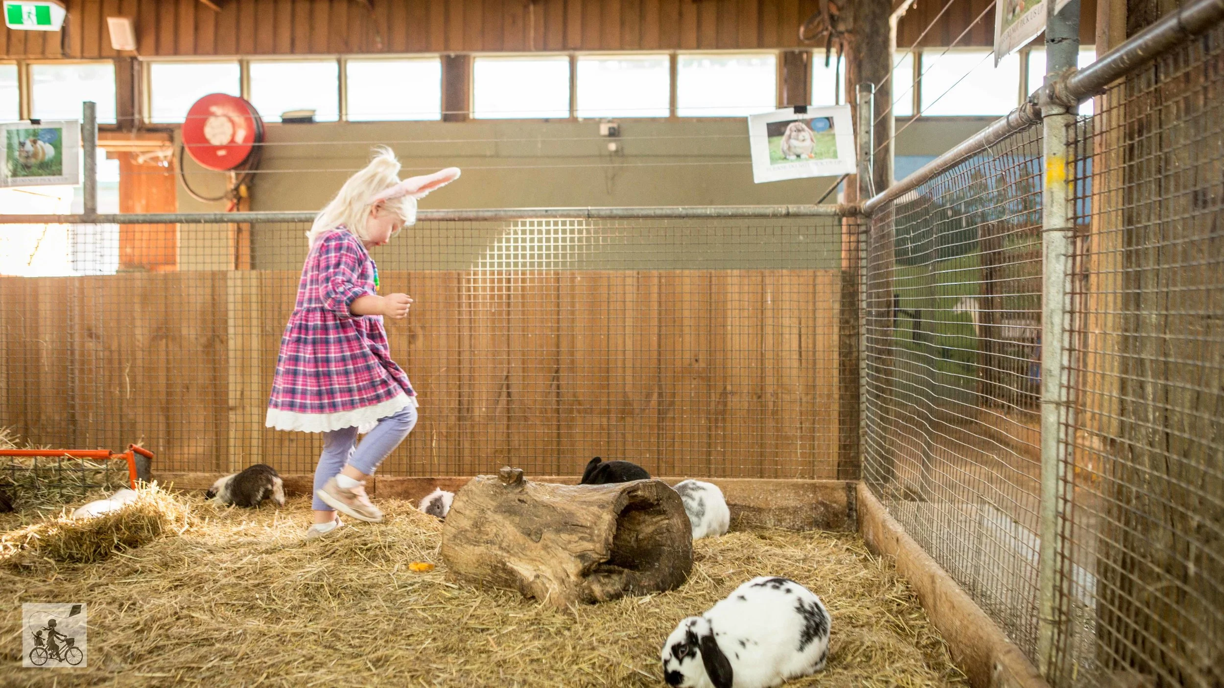 myuna farm, doveton — mamma knows south