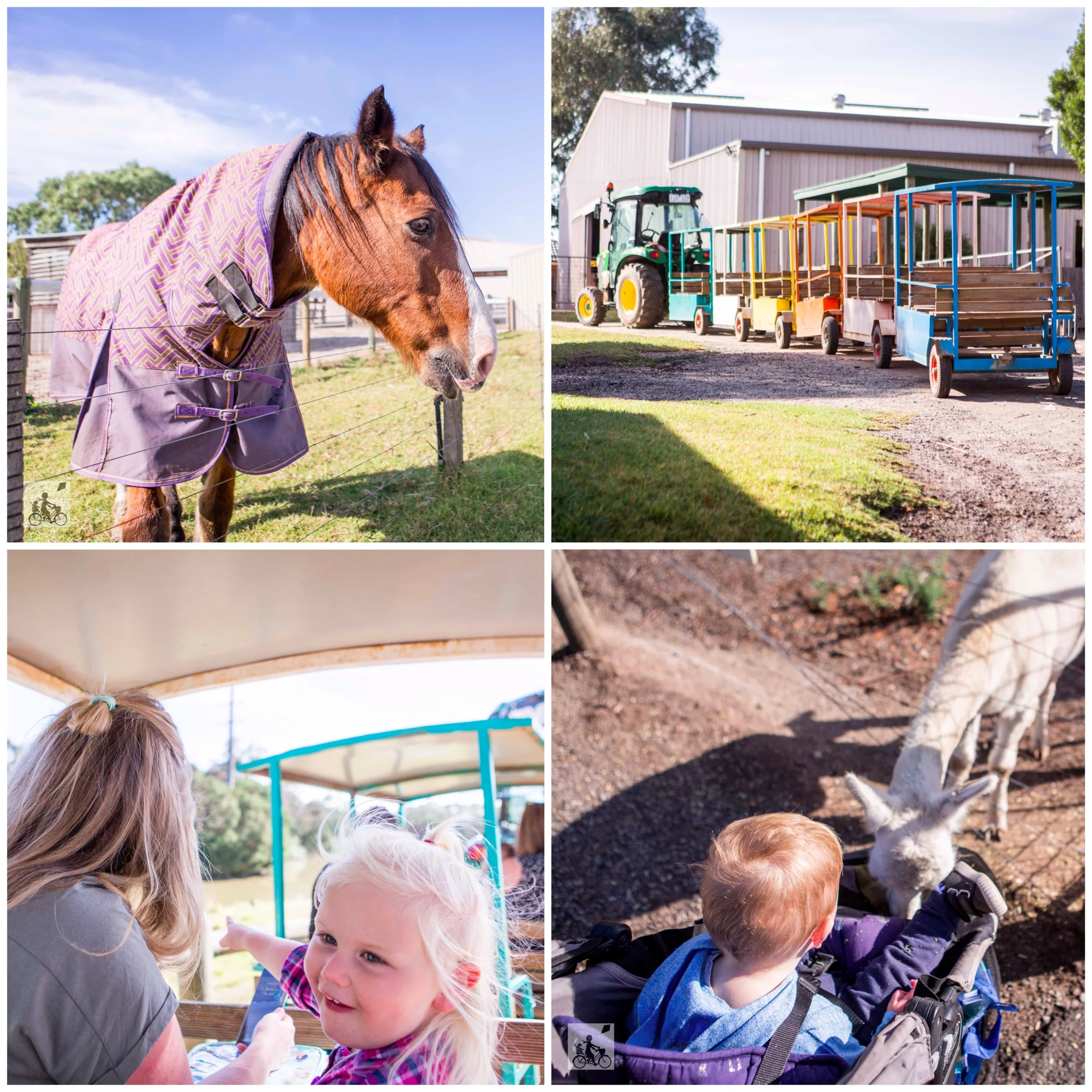 myuna farm, doveton — mamma knows south