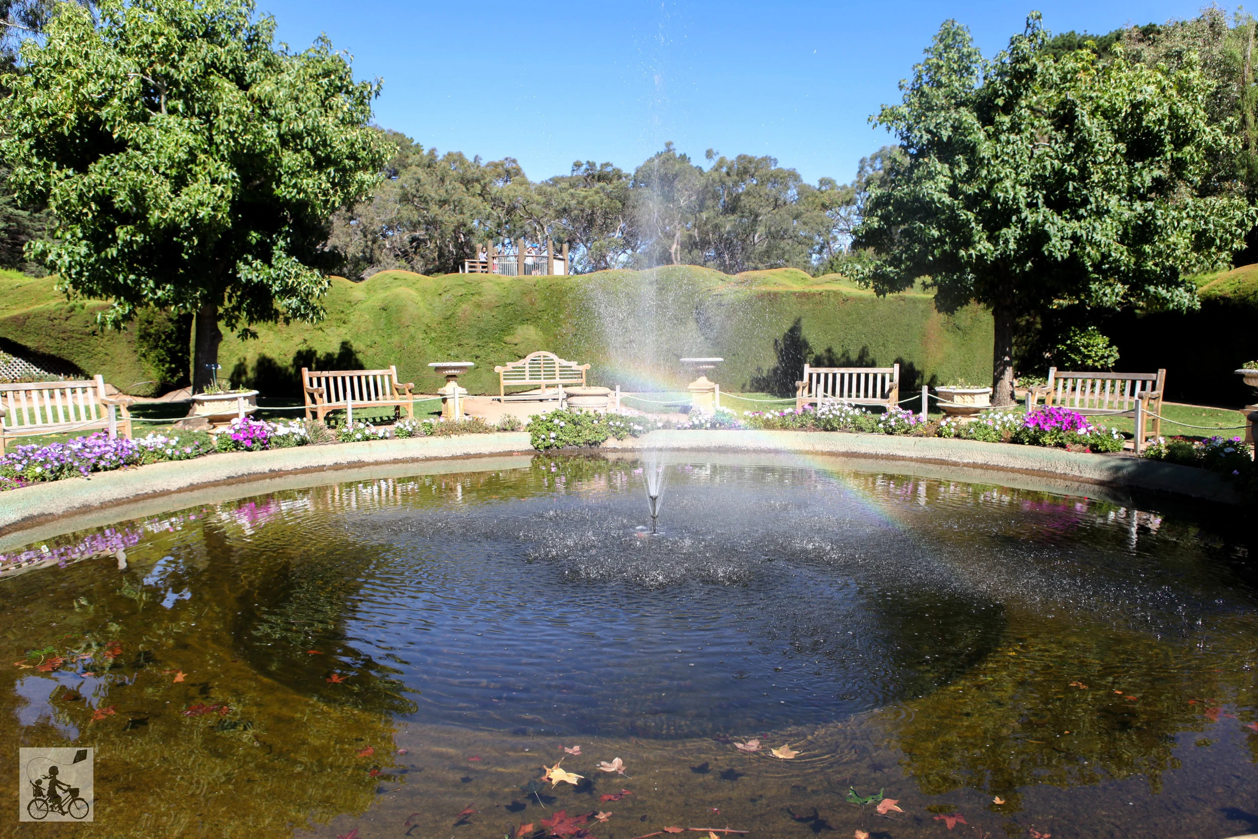 Ashcombe Maze and Lavender Gardens, Shoreham — mamma knows south