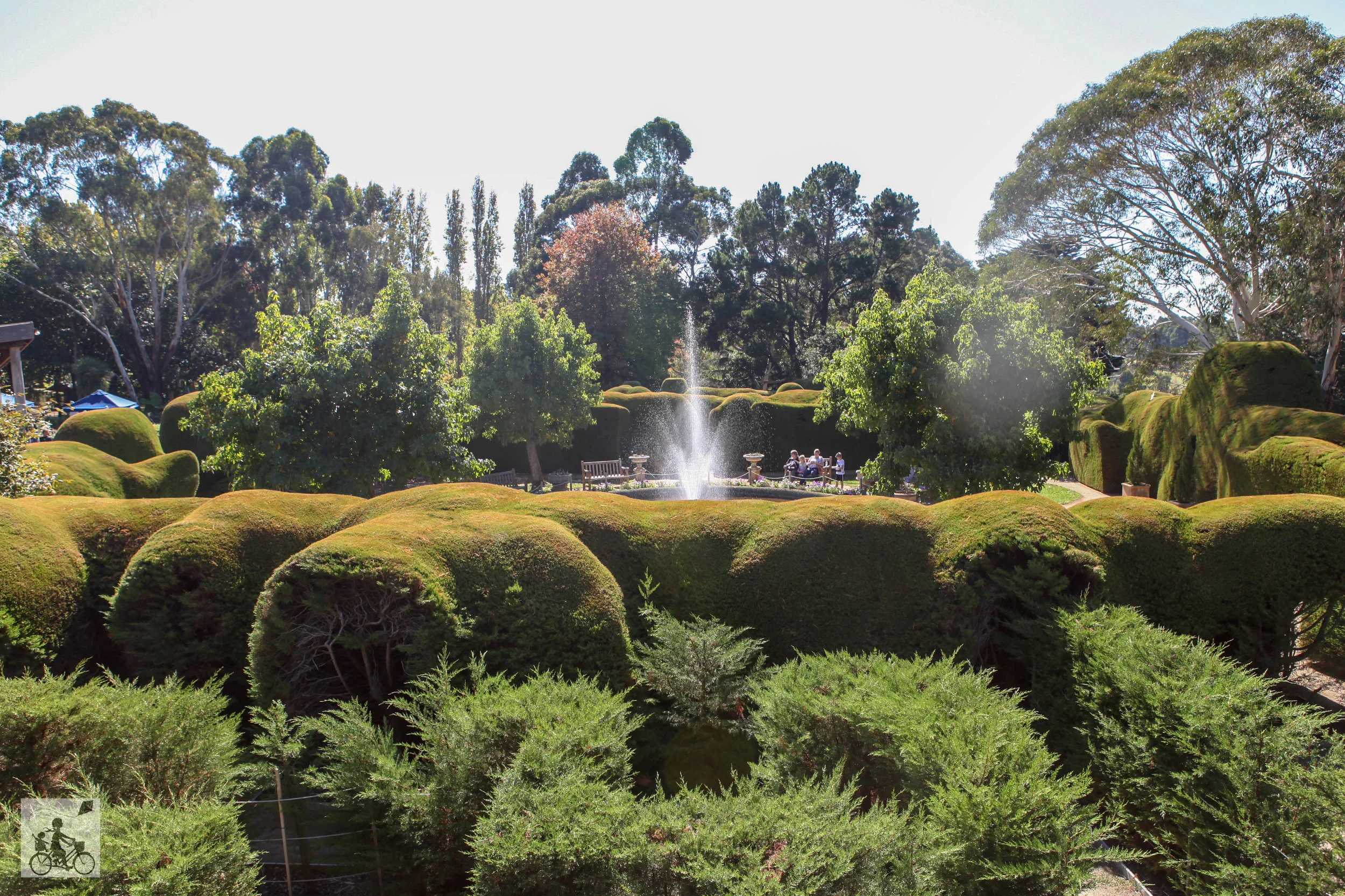 Ashcombe Maze and Lavender Gardens, Shoreham — mamma knows south