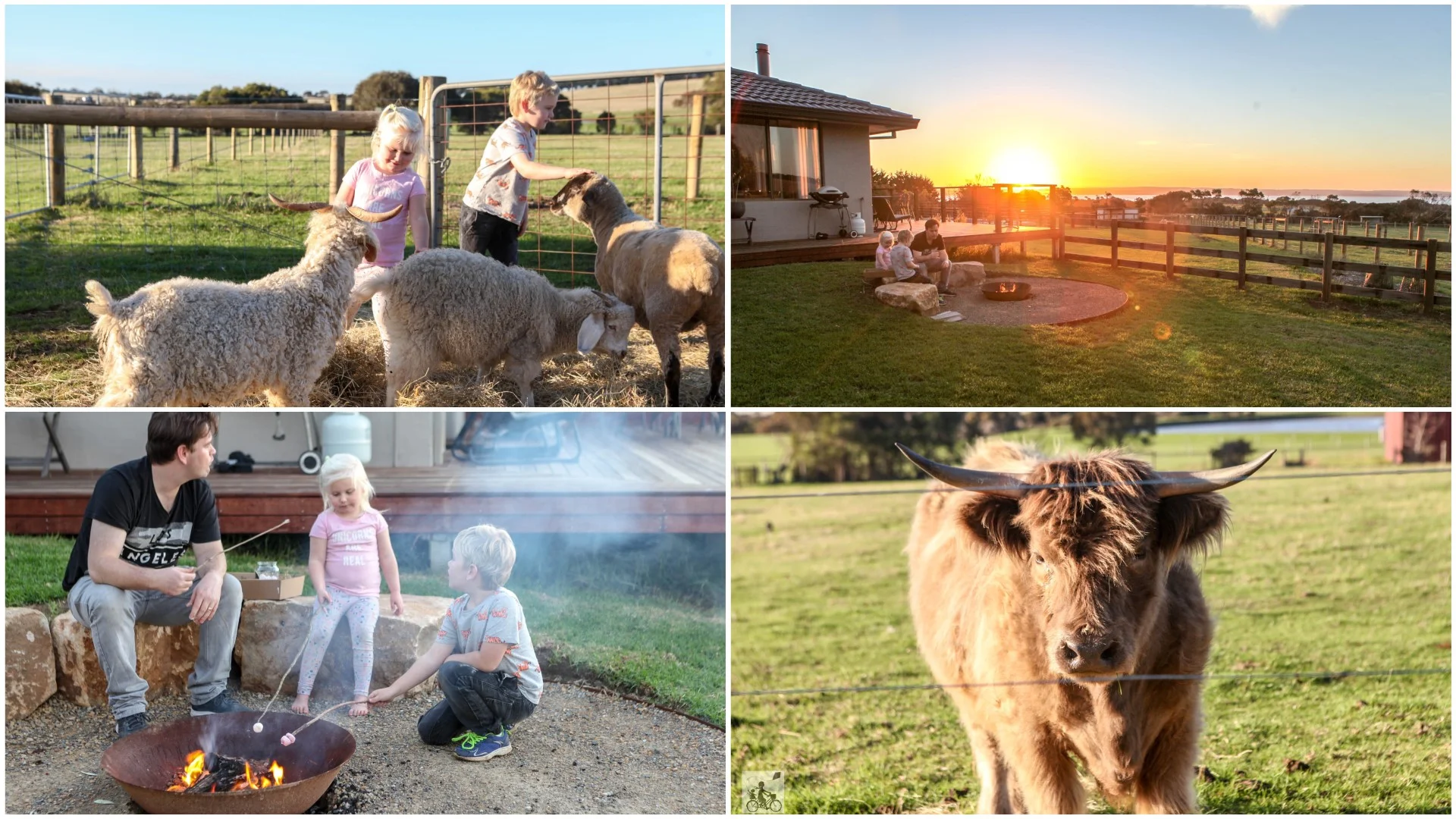 Family Experiences in Melbourne's South — mamma knows south