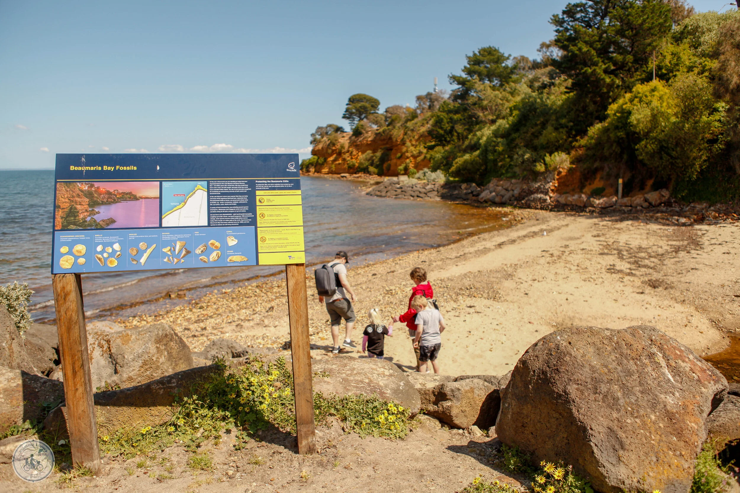 beaumaris bay fossils, beaumaris — mamma knows south