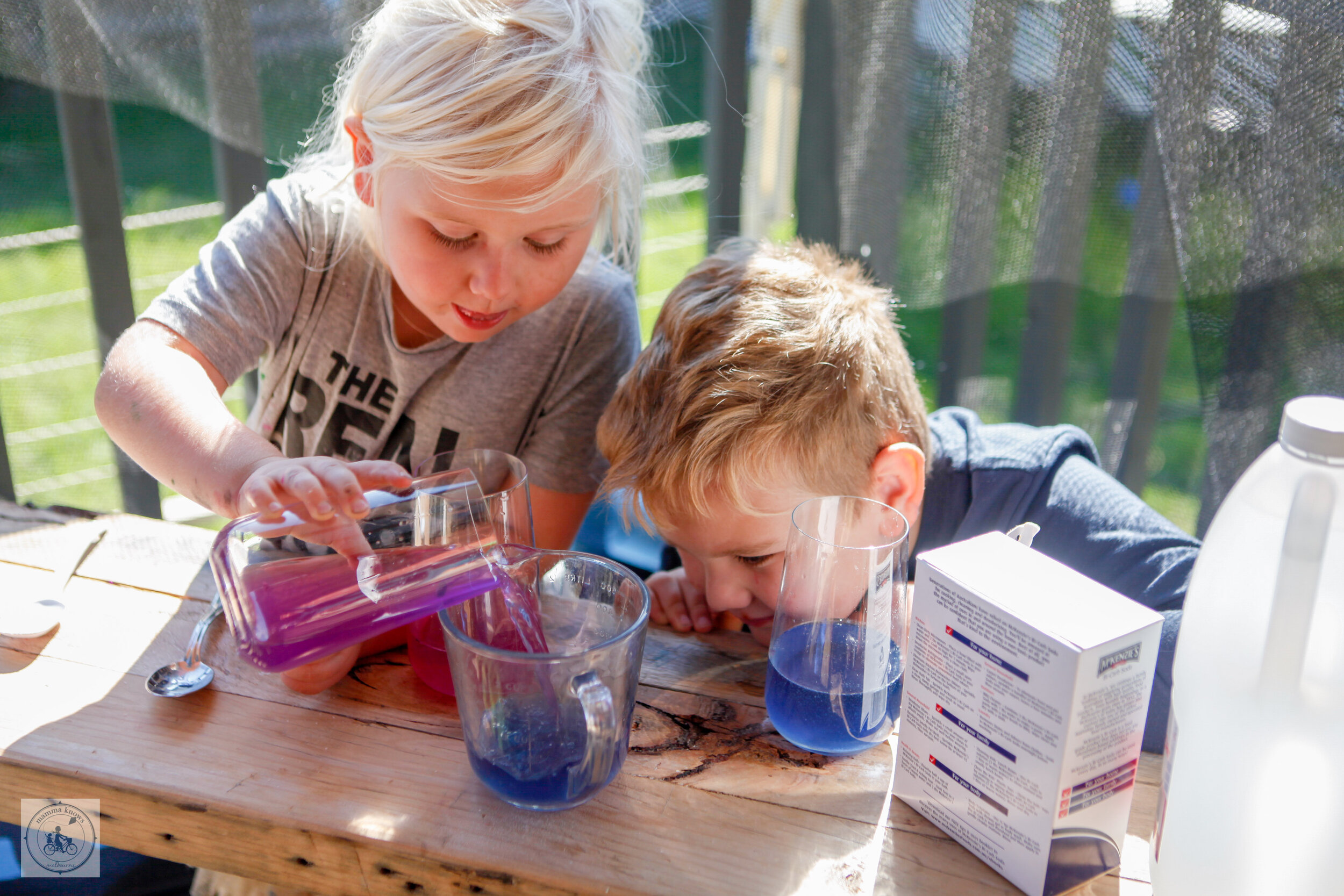 two fun science experiments with the science shed — mamma knows south